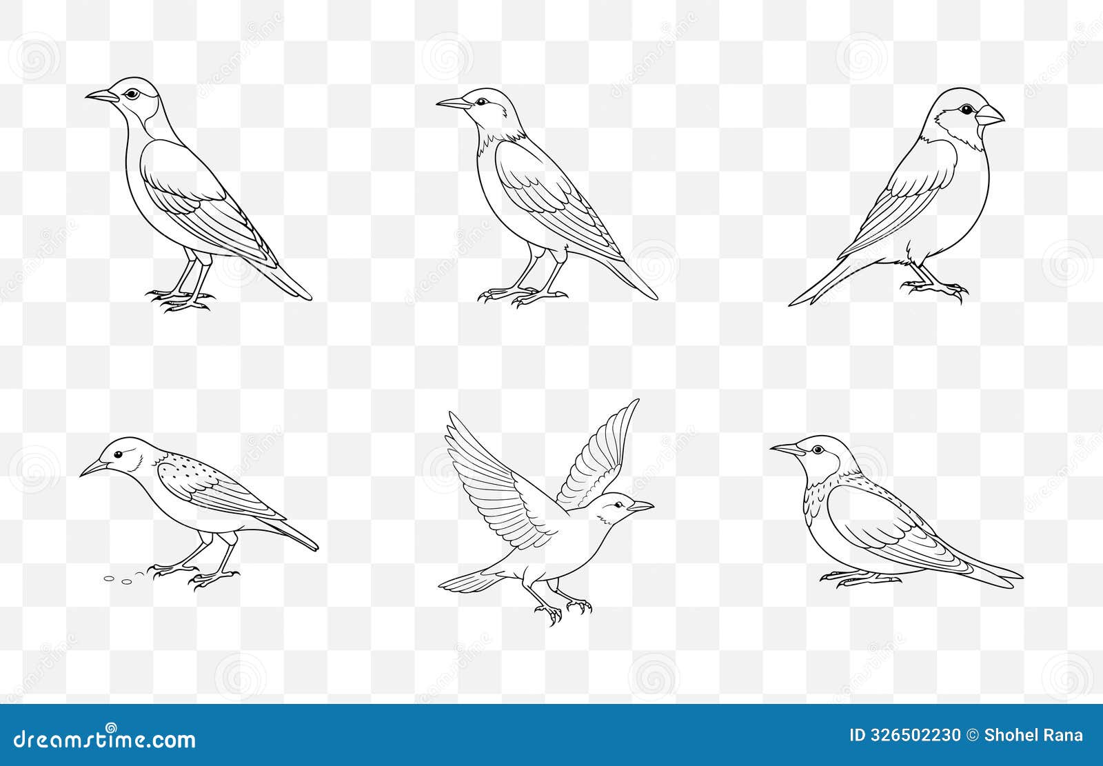 Print Comprehensive Starling Line Art Vector Collection for Artistic ...