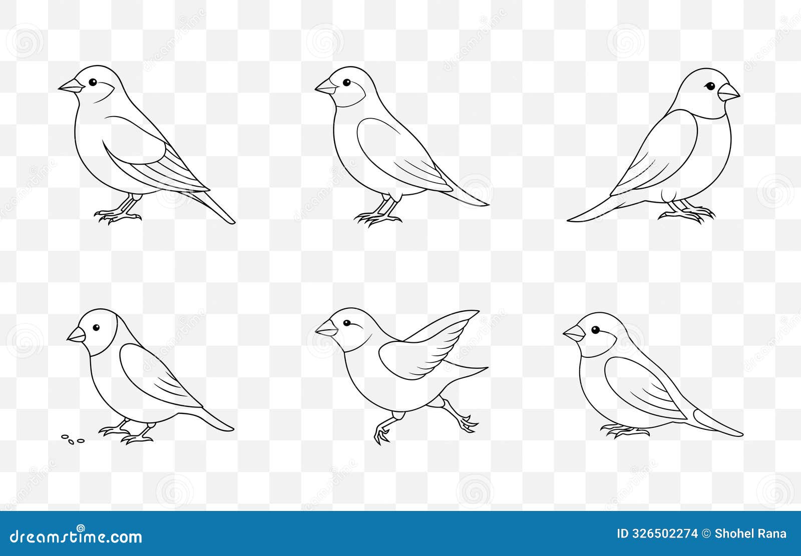 Print Comprehensive Finch Line Art Vector Set Illustrations for Artists ...