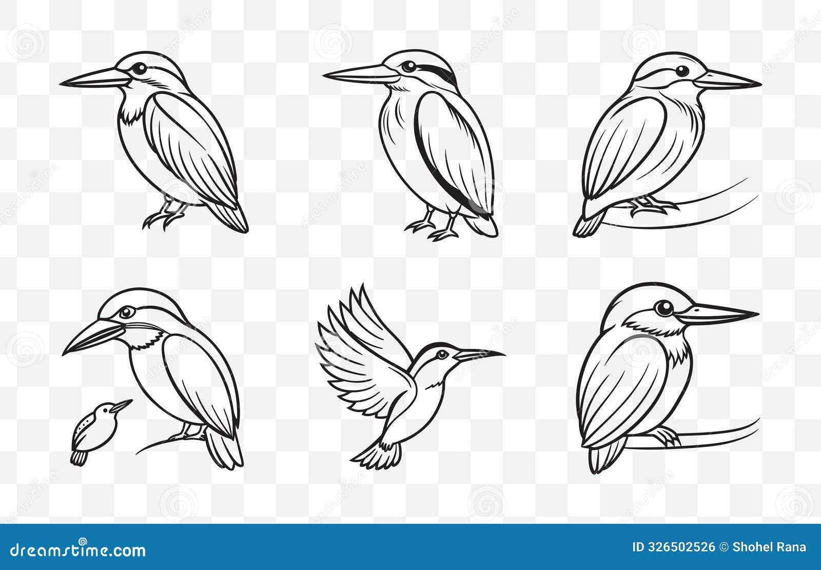 Print Comprehensive Kingfisher Line Art Vector Set Perfect for Artistic ...