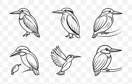 Print Comprehensive Kingfisher Line Art Vector Set Perfect for Artistic ...
