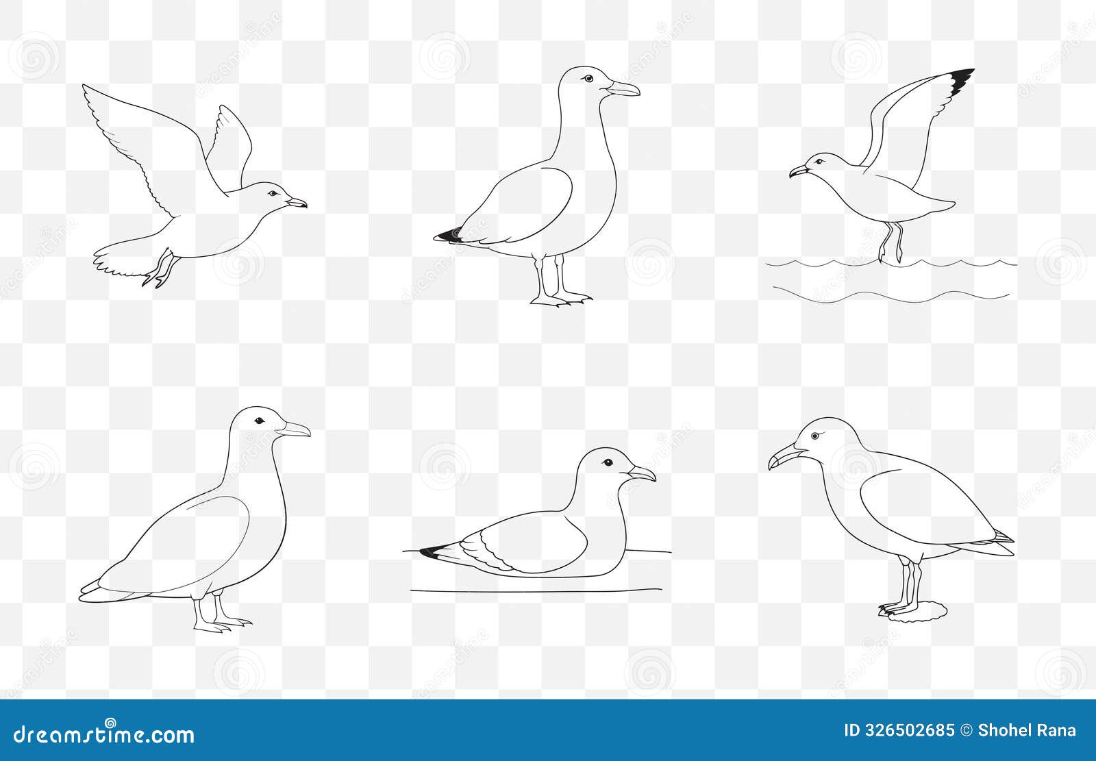 Print Detailed Gull Line Art Vector Set for Illustrations and Design ...