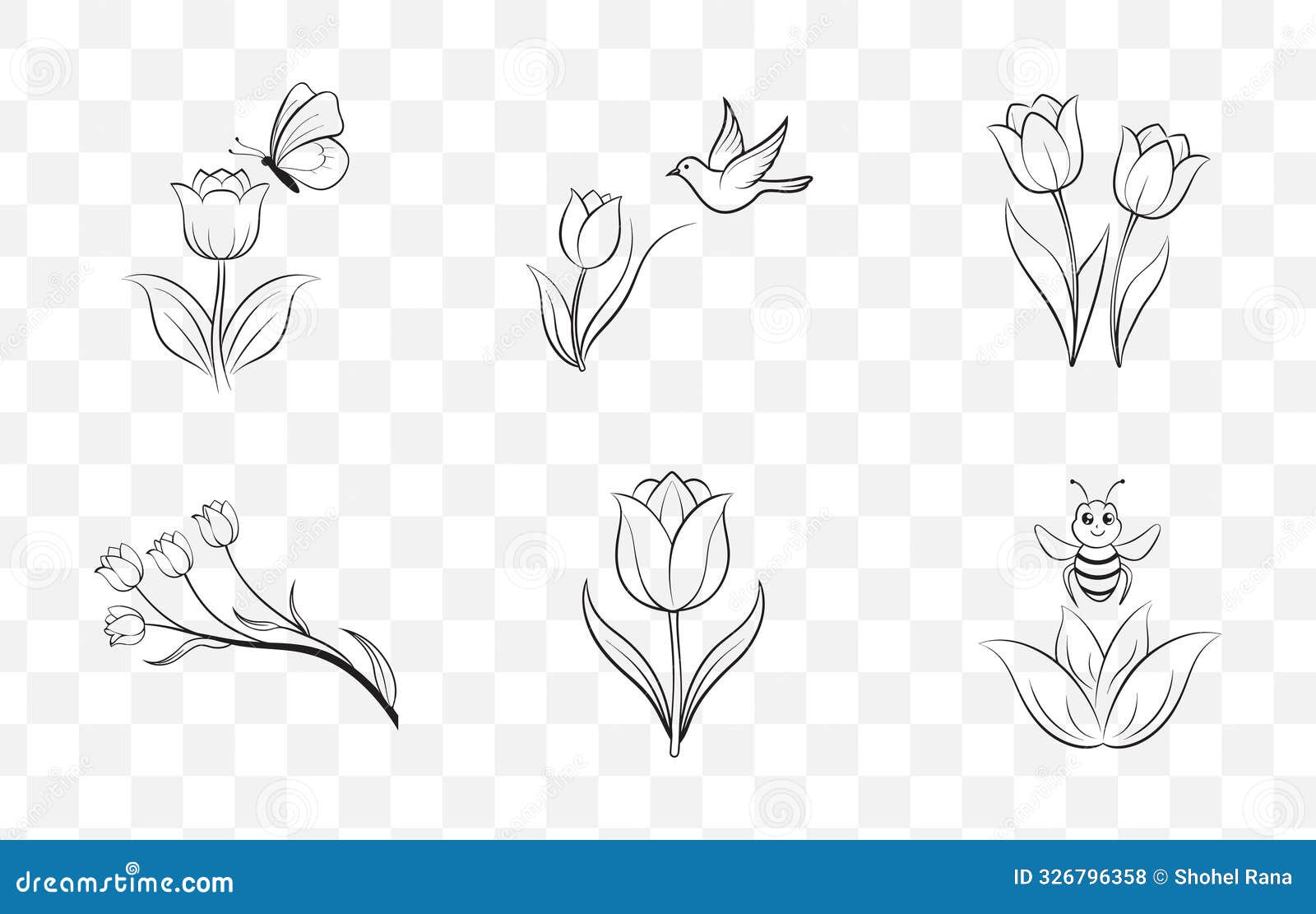 Print Comprehensive Merlin Line Art Vector Set Detailed Illustrations ...