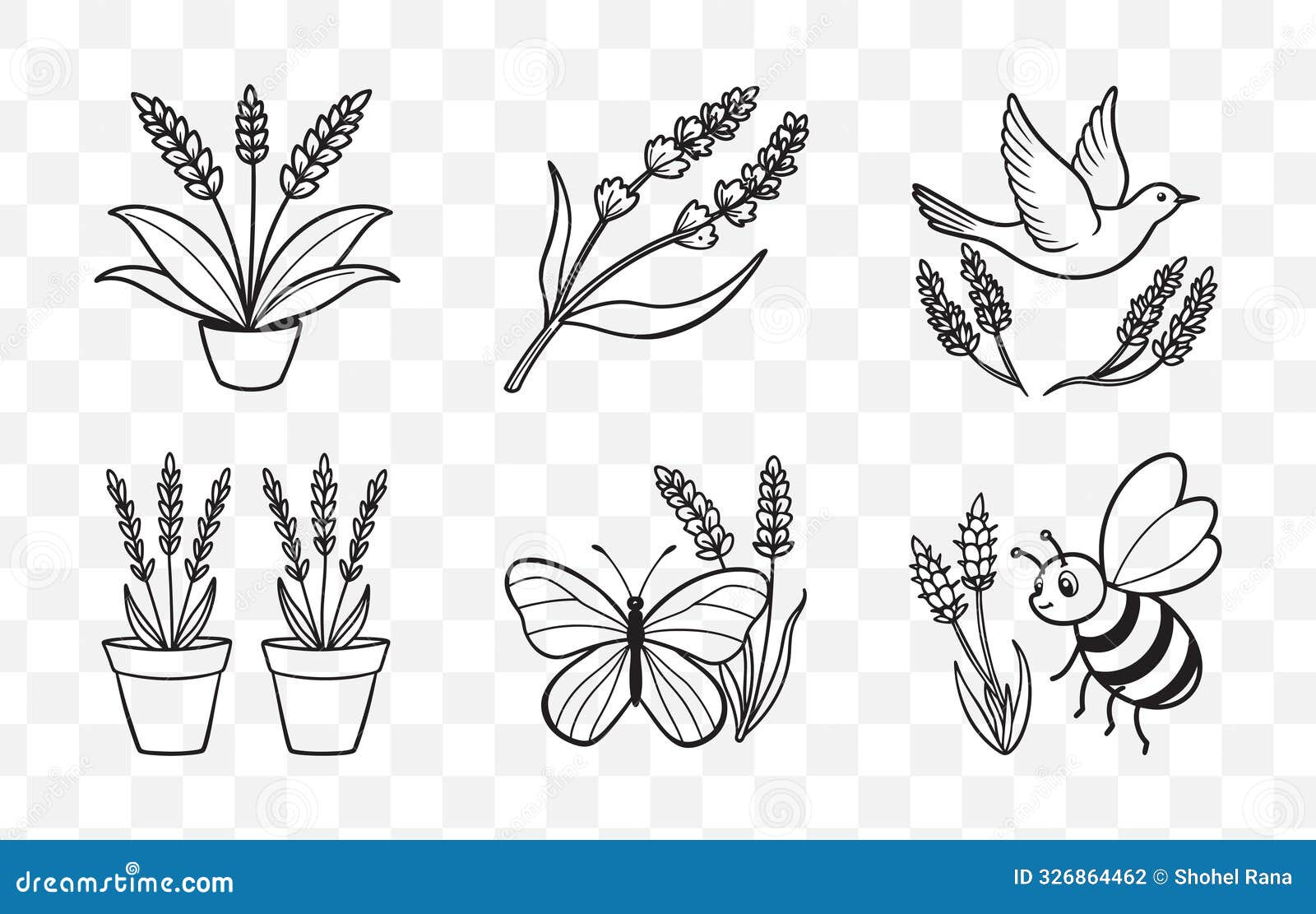 Print Lavender Line Art Vector Set Intricate and Elegant Designs for ...