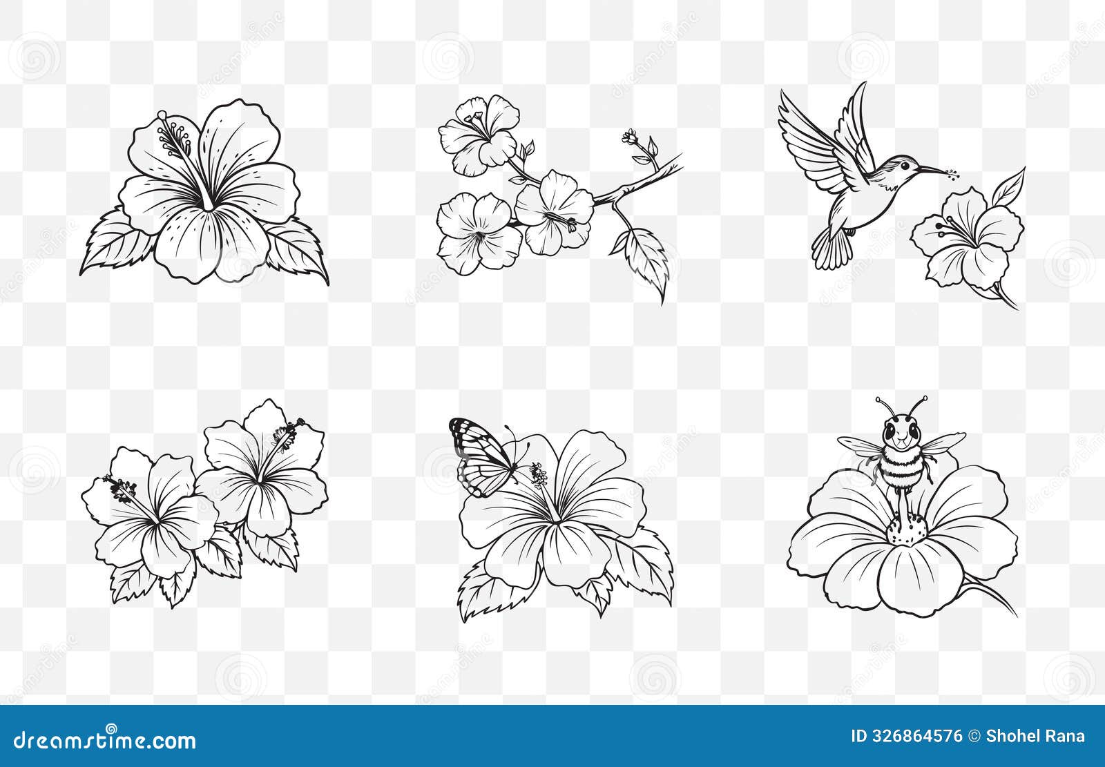 Hibiscus Line Drawing, Hibiscus Flower Drawing Coloring Page, Hibiscus ...