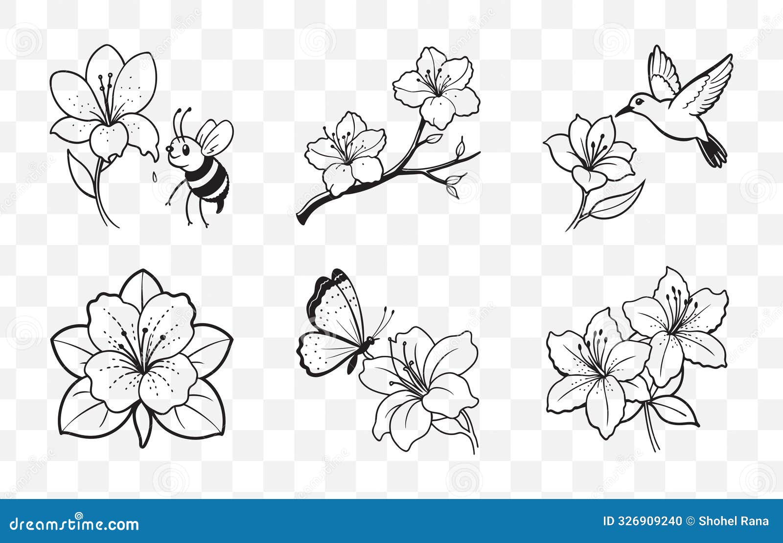 Print Comprehensive Azalea Line Art Vector Set for Detailed and Elegant ...