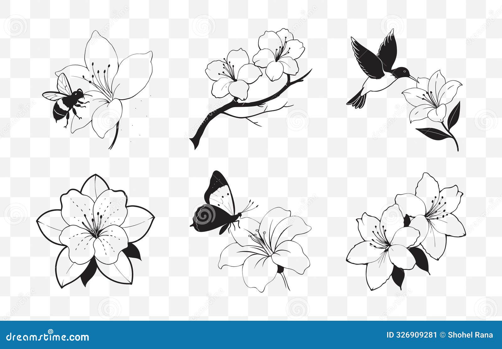 Print Comprehensive Azalea Line Art Vector Set for Detailed and Elegant ...