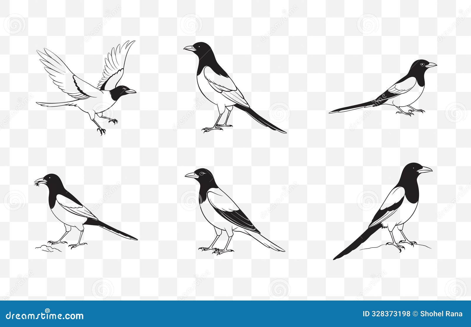 Print Comprehensive Magpie Line Art Vector Set For Detailed And Elegant ...