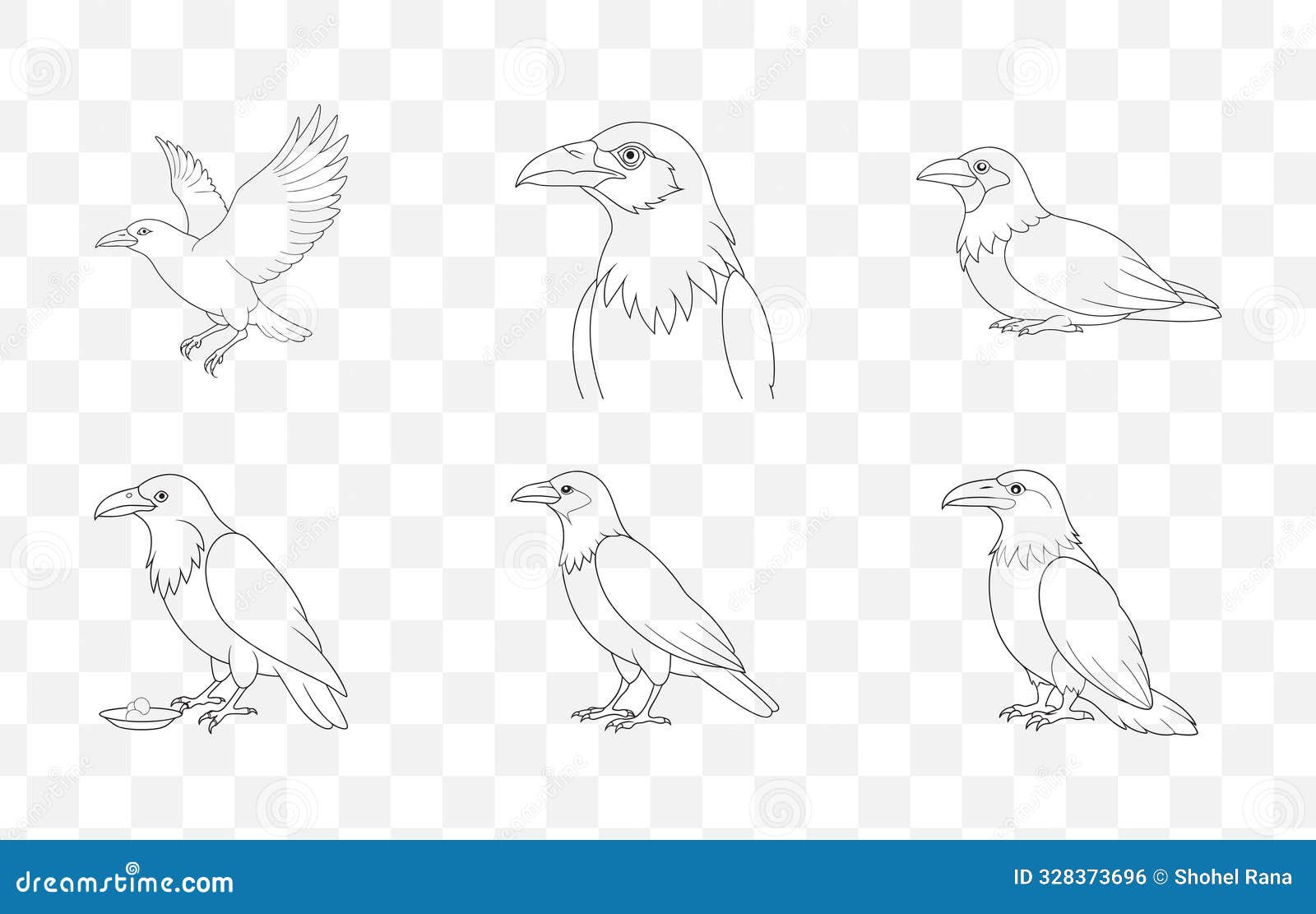 Print Intricate Raven Line Art Vector Set with Detailed Designs for ...