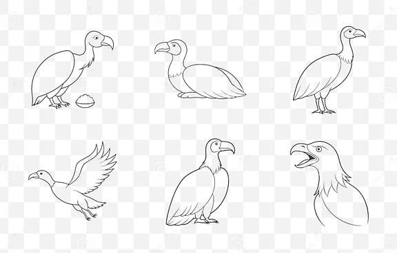 Print Condor Line Art Vector Collection with Detailed Illustrations for ...