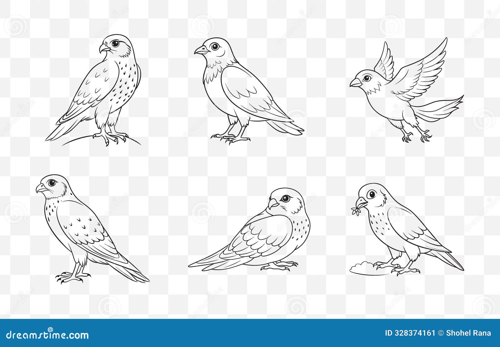 Print Comprehensive Merlin Line Art Vector Set Detailed Illustrations ...