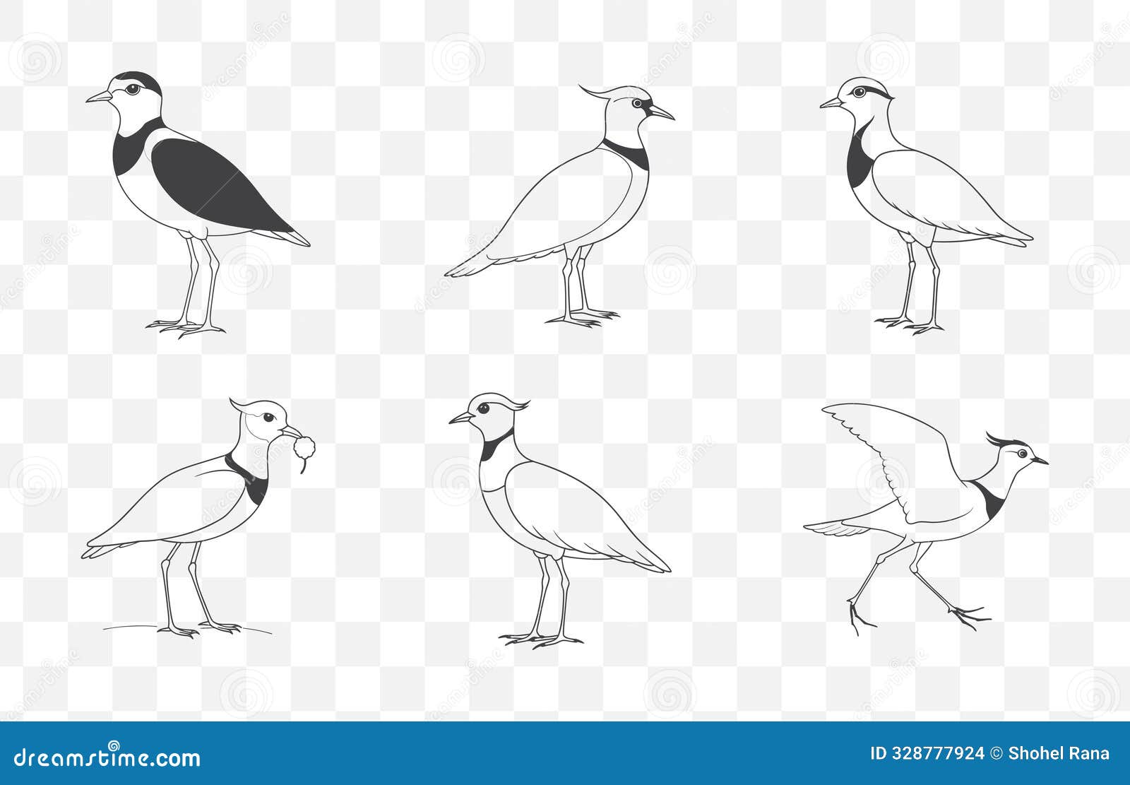 Print Comprehensive Lapwing Line Art Vector Set for Detailed and ...
