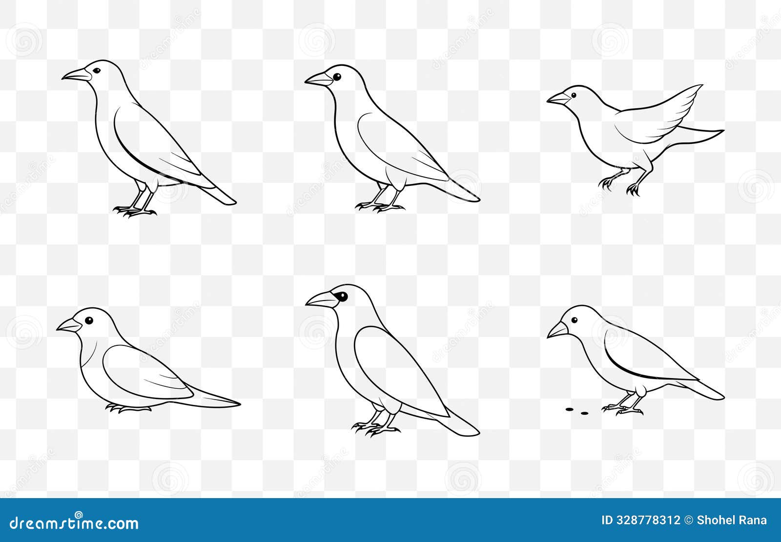 Print Jackdaw Bird Line Art Vector Illustrations Collection Detailed ...