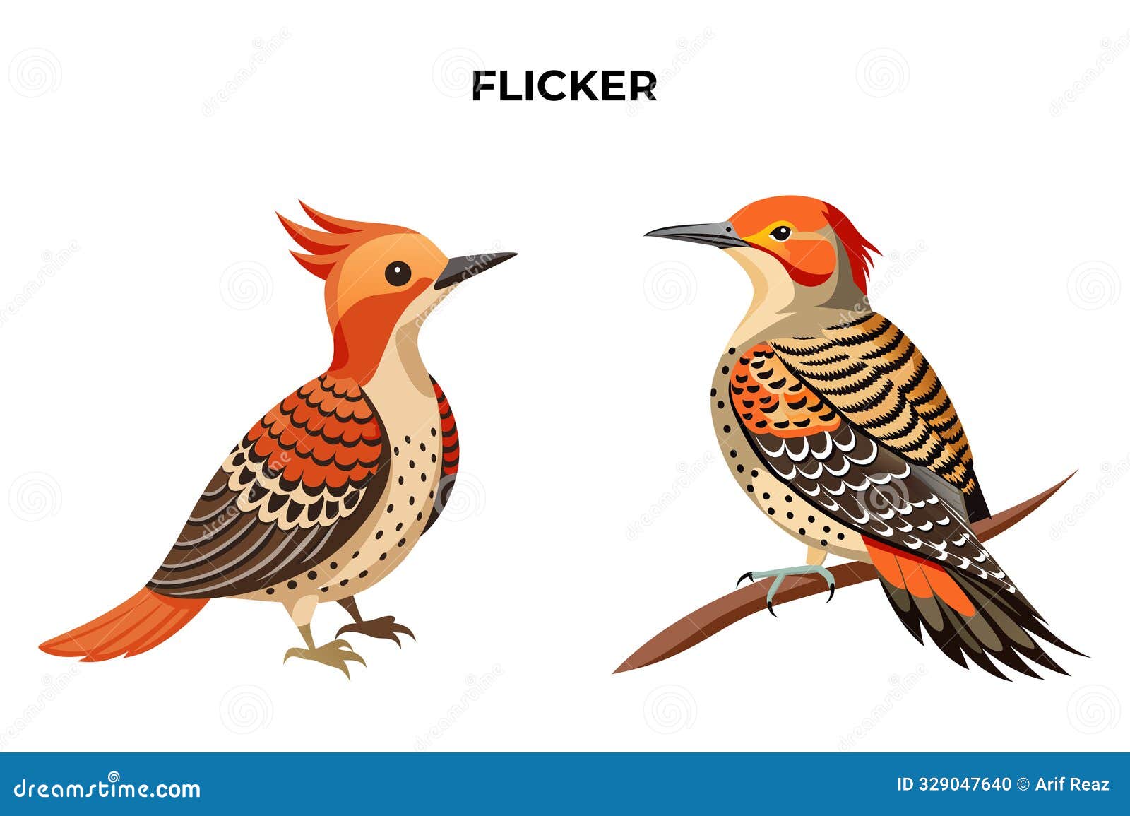 Beautiful Flicker on White Background Vector Illustration Stock Vector ...