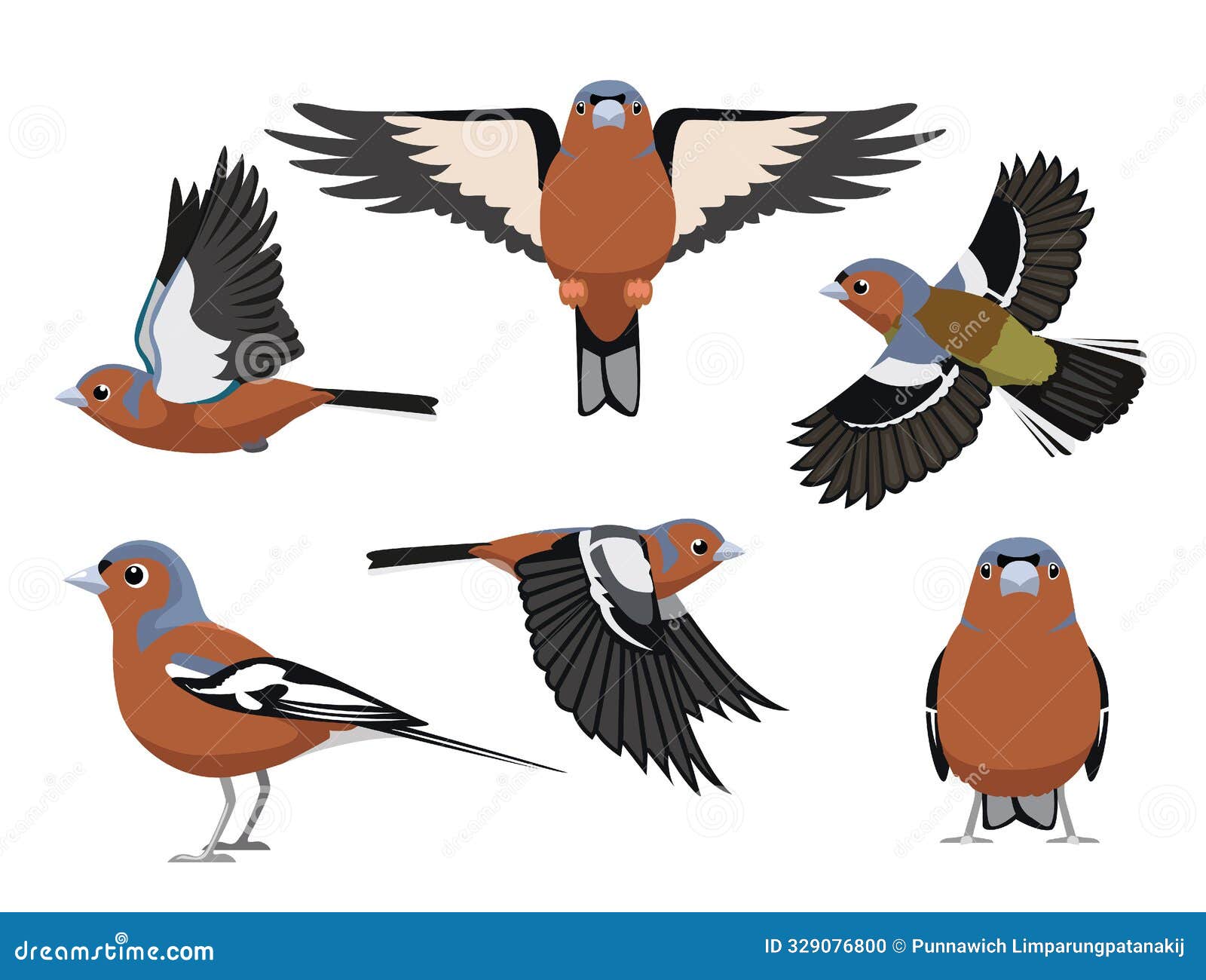 Chaffinch Finch Bird Various Poses Cartoon Vector Character Stock ...