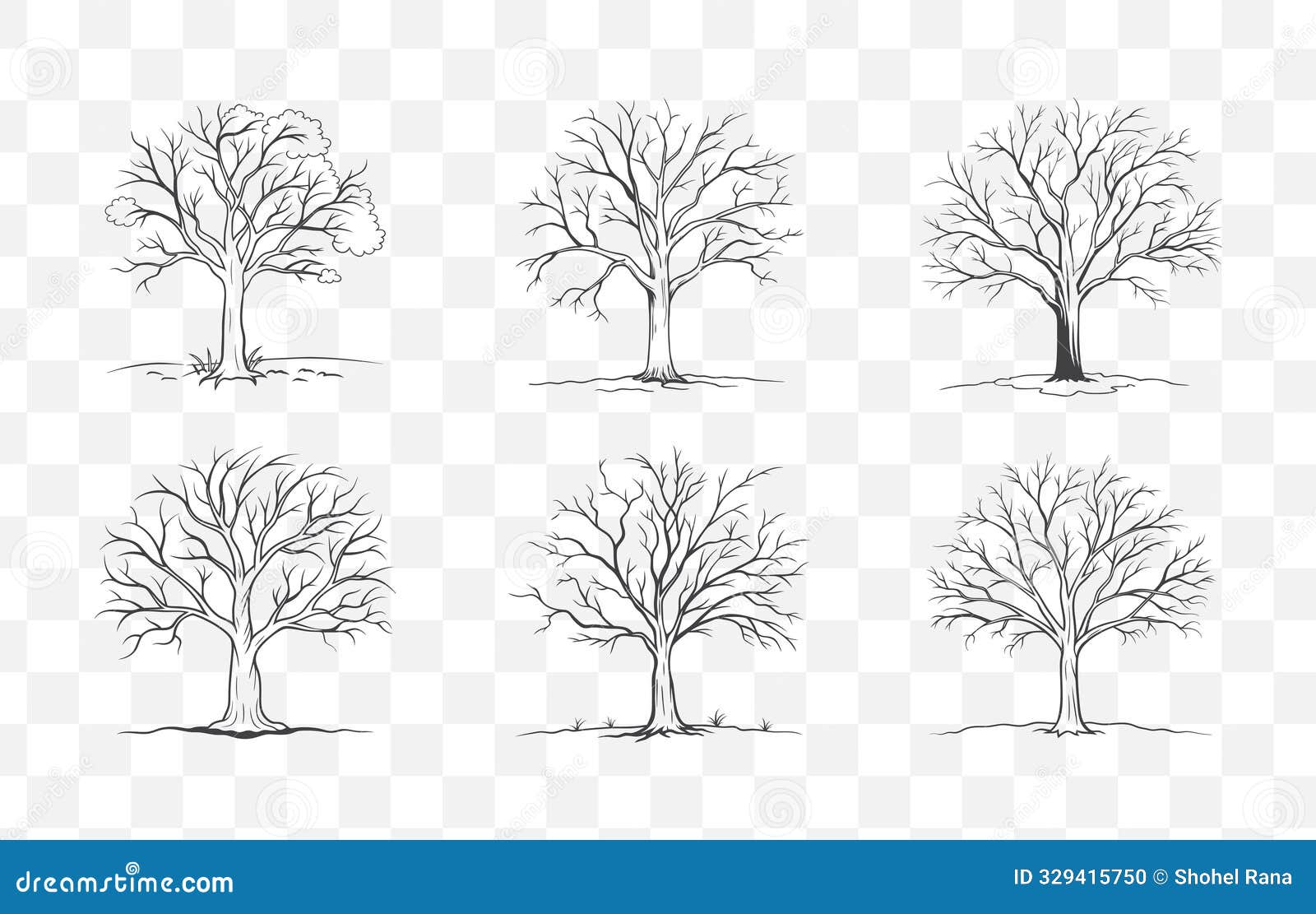 Print Dead Ash Tree Line Art Vector Set of Detailed Illustrations for ...