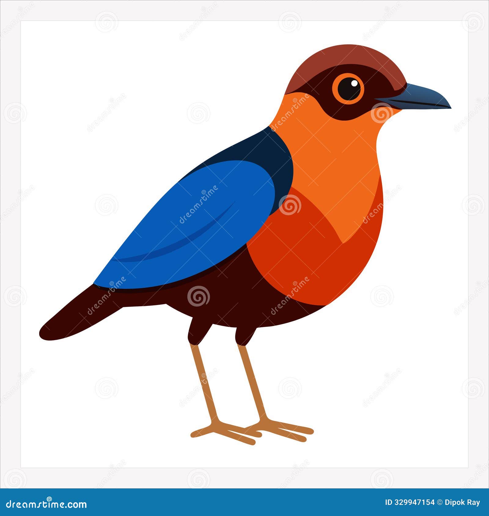 Beautiful Ground Gurney Pitta Bird Vector Art Illustration ...