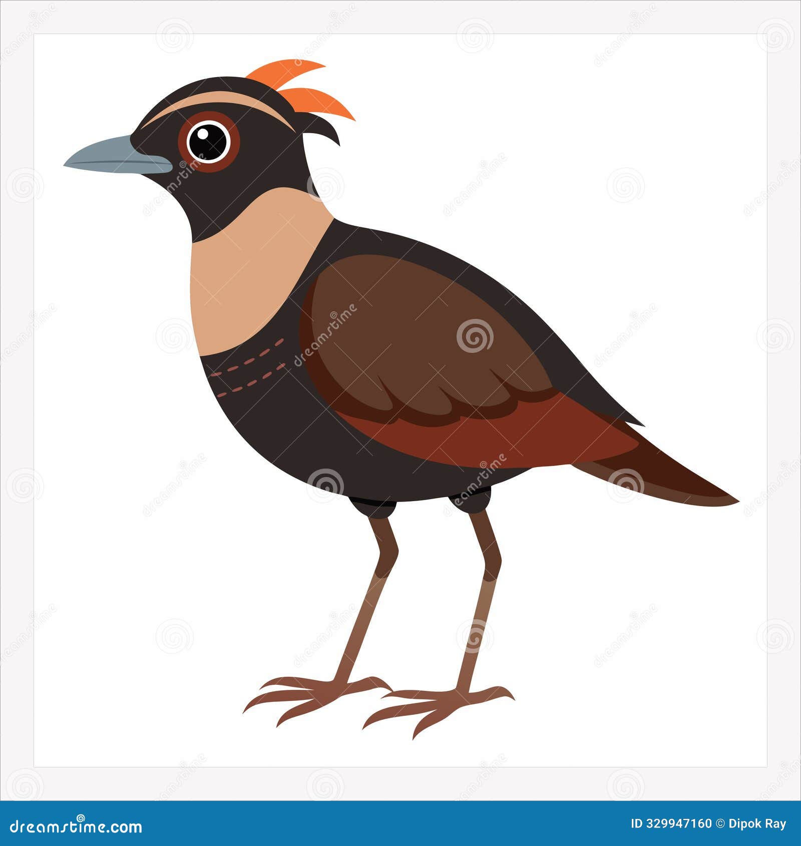 Beautiful Ground Gurney Pitta Bird Vector Art Illustration Royalty-Free ...