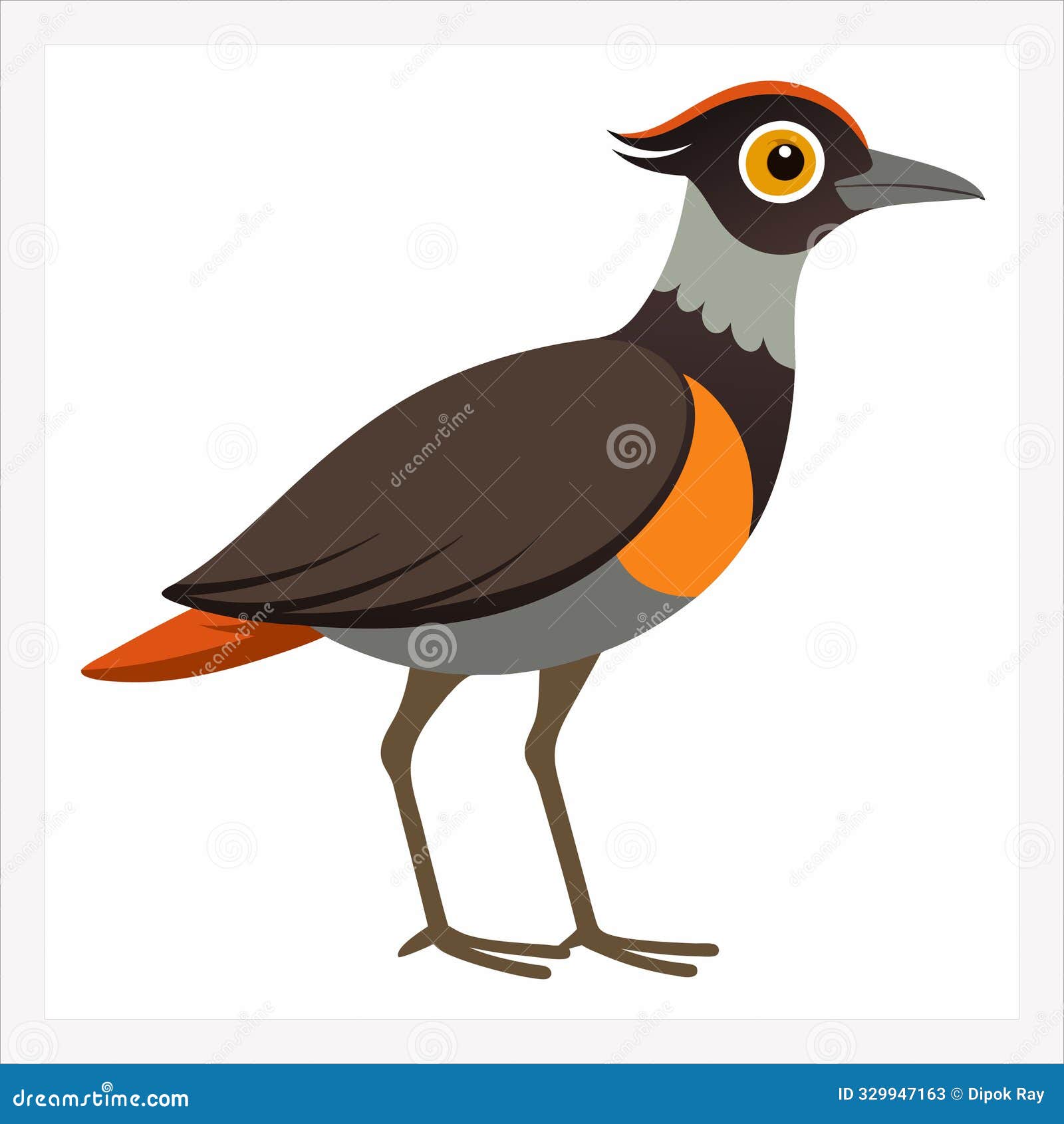 Beautiful Ground Gurney Pitta Bird Vector Art Illustration Royalty-Free ...