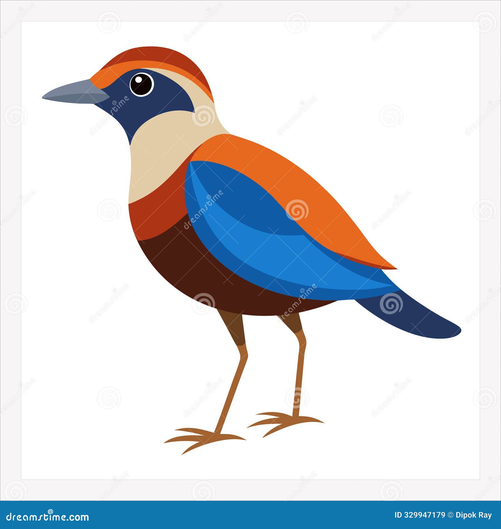 Beautiful Ground Gurney Pitta Bird Vector Art Illustration ...