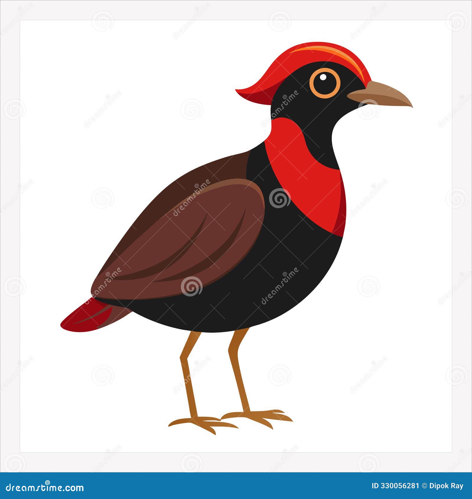 Beautiful Ground Gurney Pitta Bird Vector Art Illustration ...