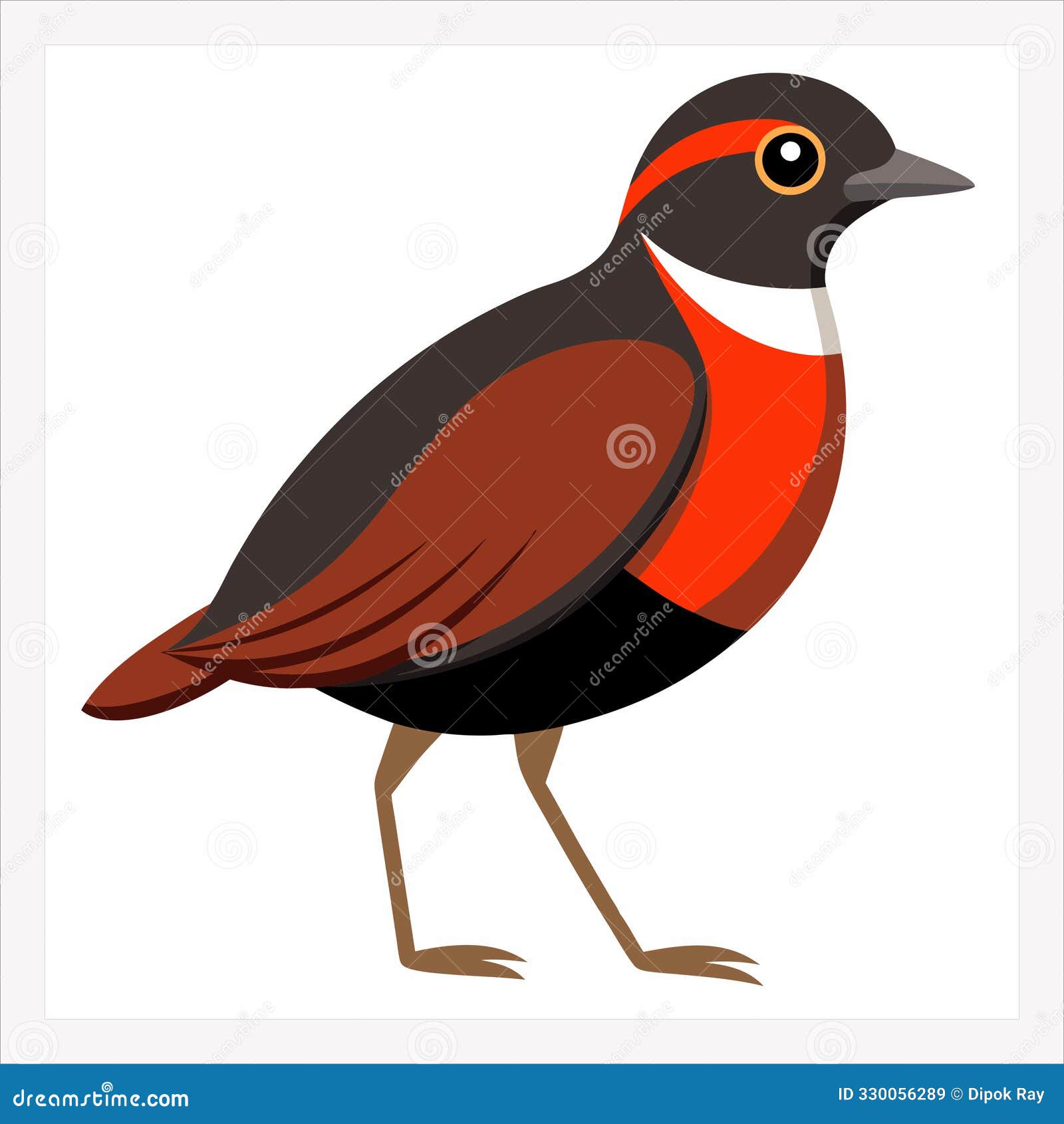 Beautiful Ground Gurney Pitta Bird Vector Art Illustration ...