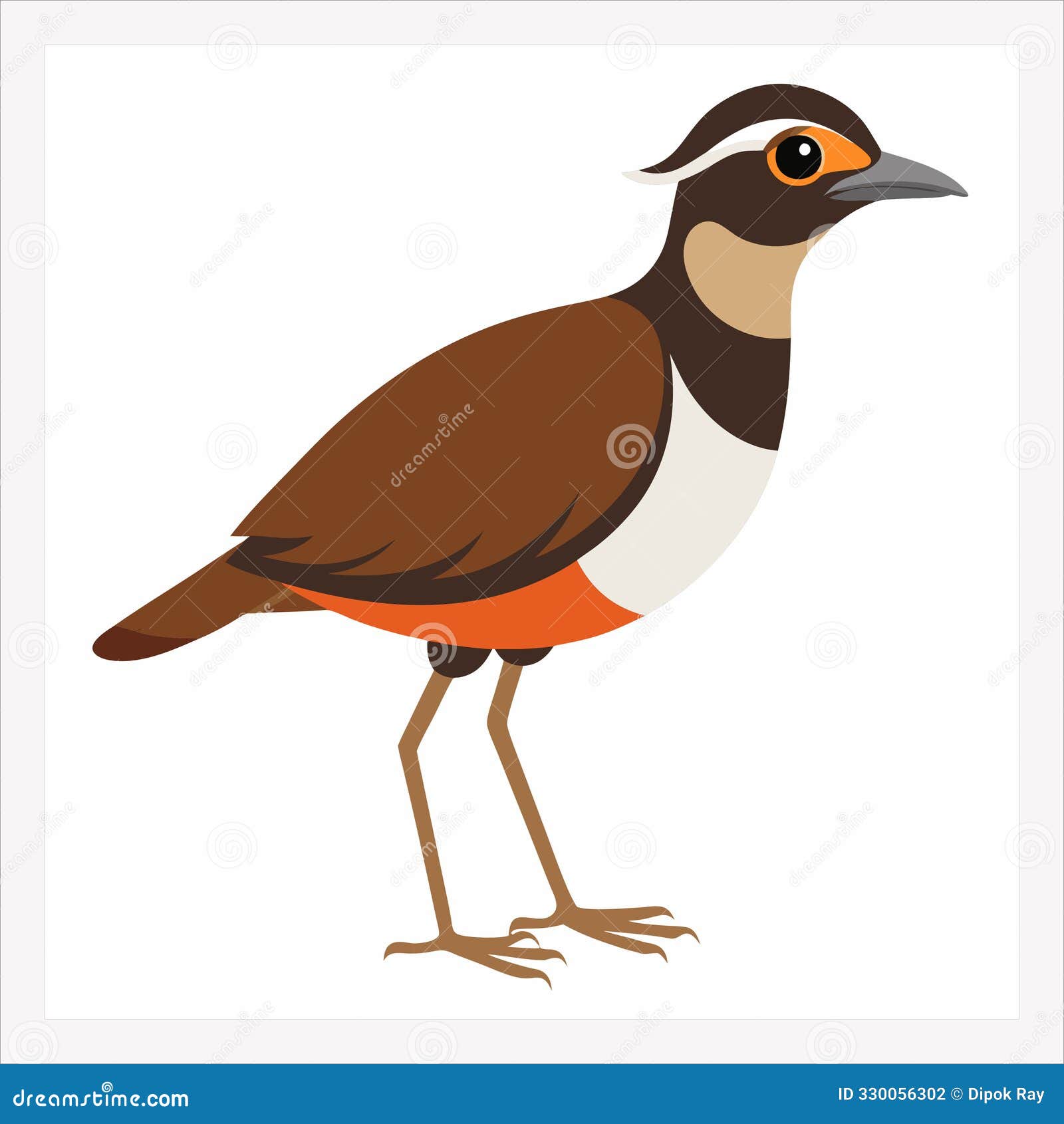 Beautiful Ground Gurney Pitta Bird Vector Art Illustration ...