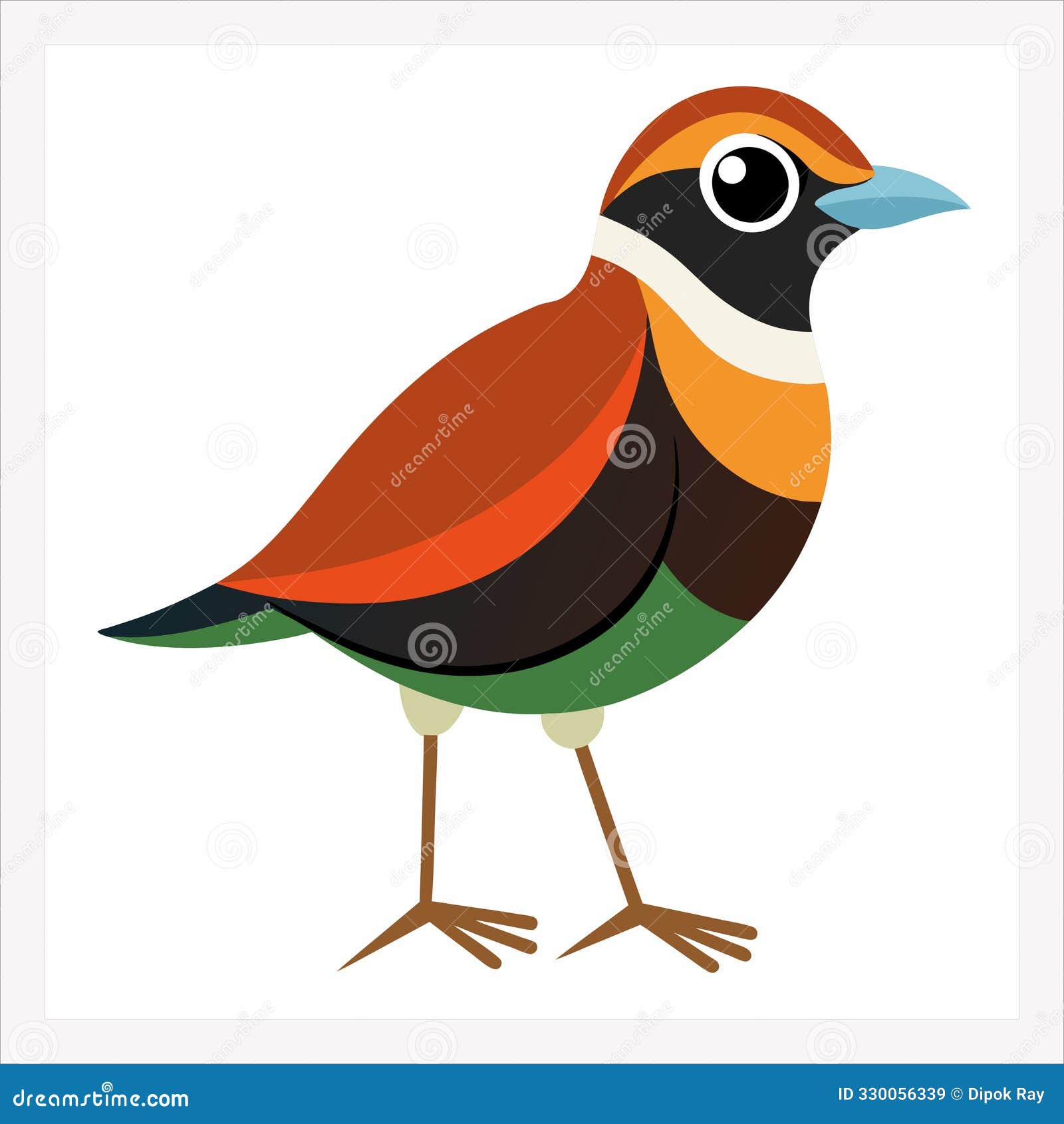 Beautiful Ground Gurney Pitta Bird Vector Art Illustration Royalty-Free ...