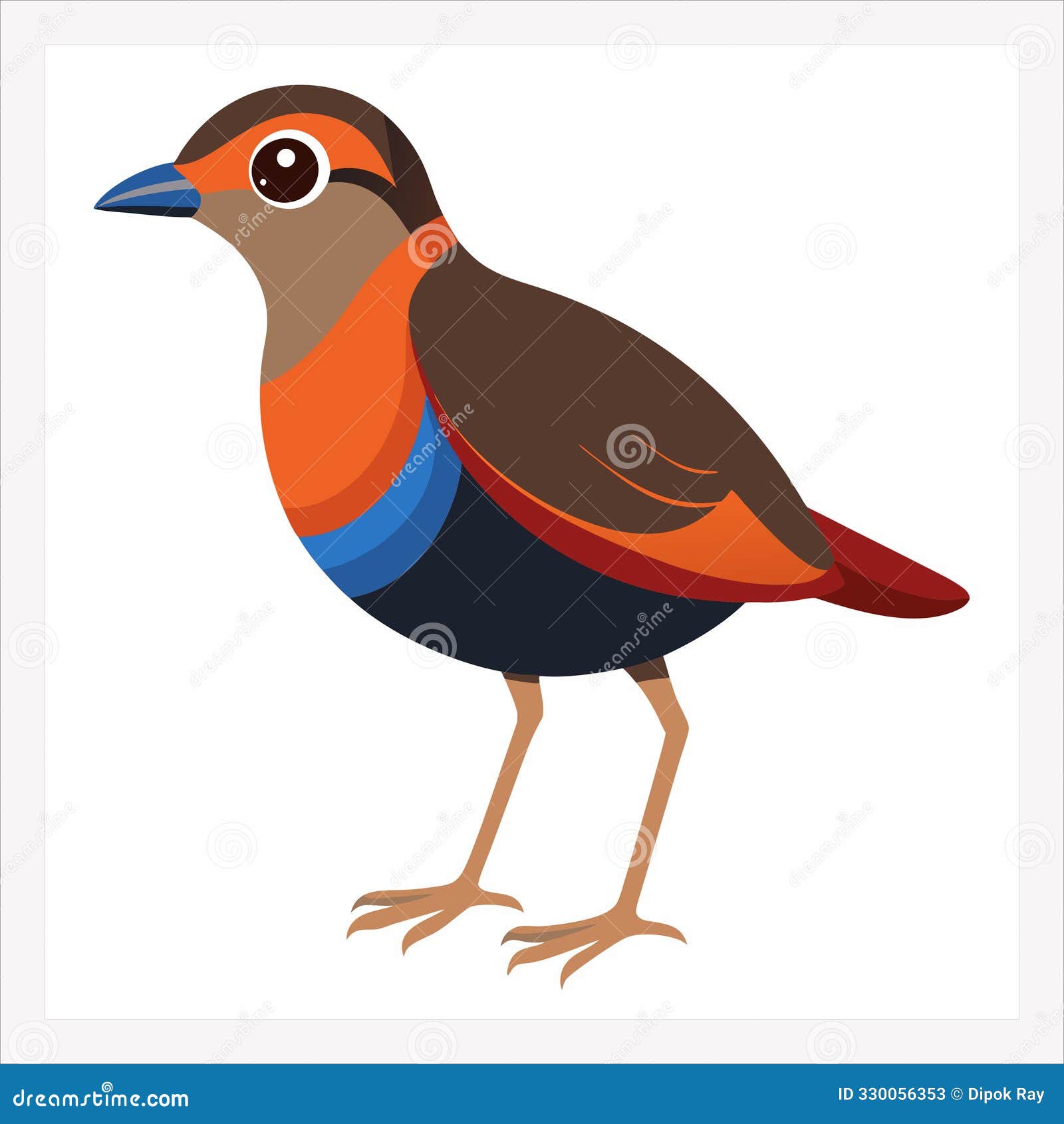 Beautiful Ground Gurney Pitta Bird Vector Art Illustration ...