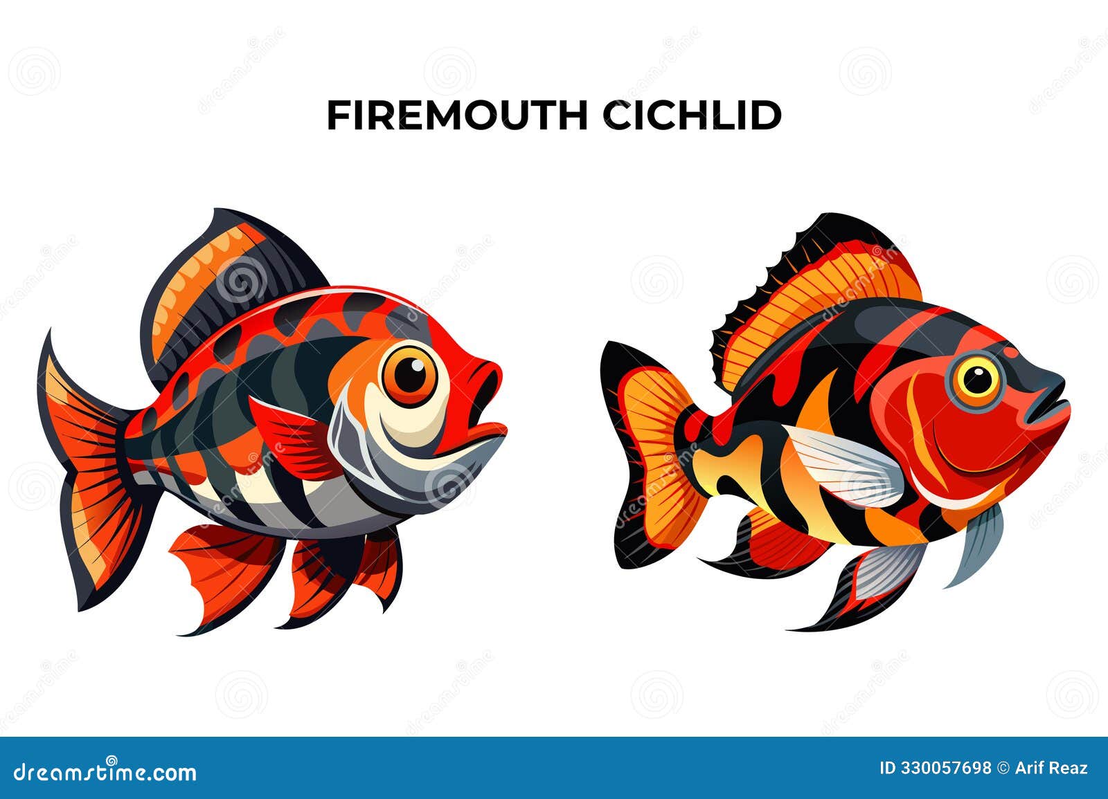 Firemouth Cichlid Fish Vector Illustration: a Versatile Design Resource ...