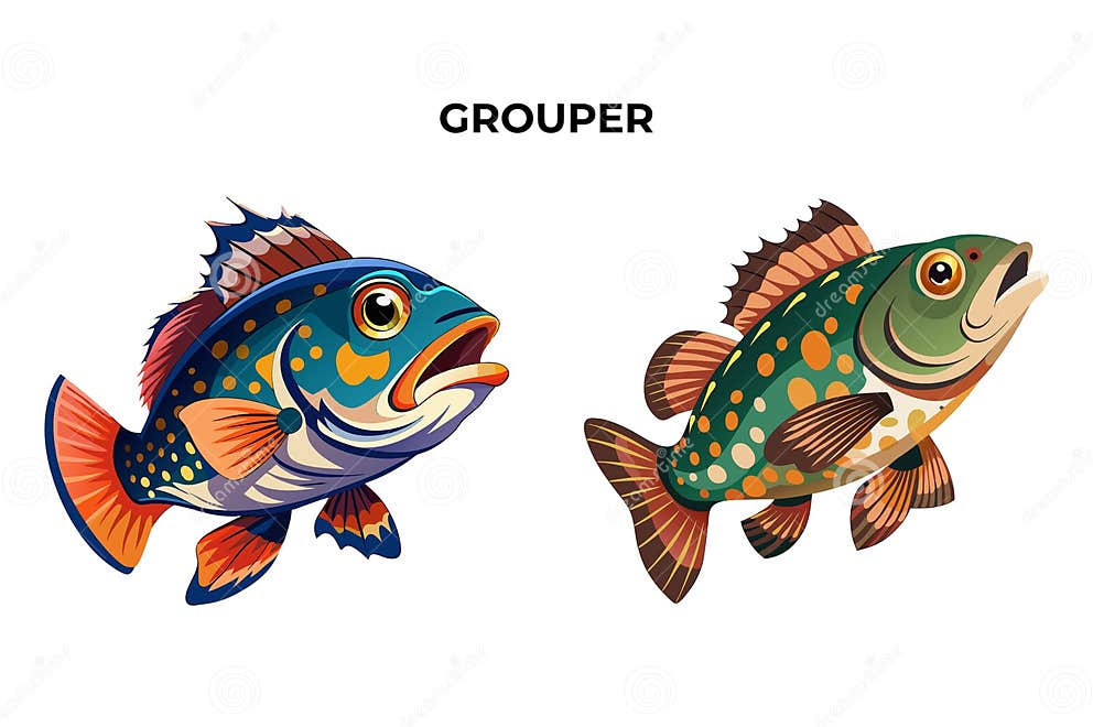 Grouper Fish Vector Illustration: a Versatile Design Resource Stock ...