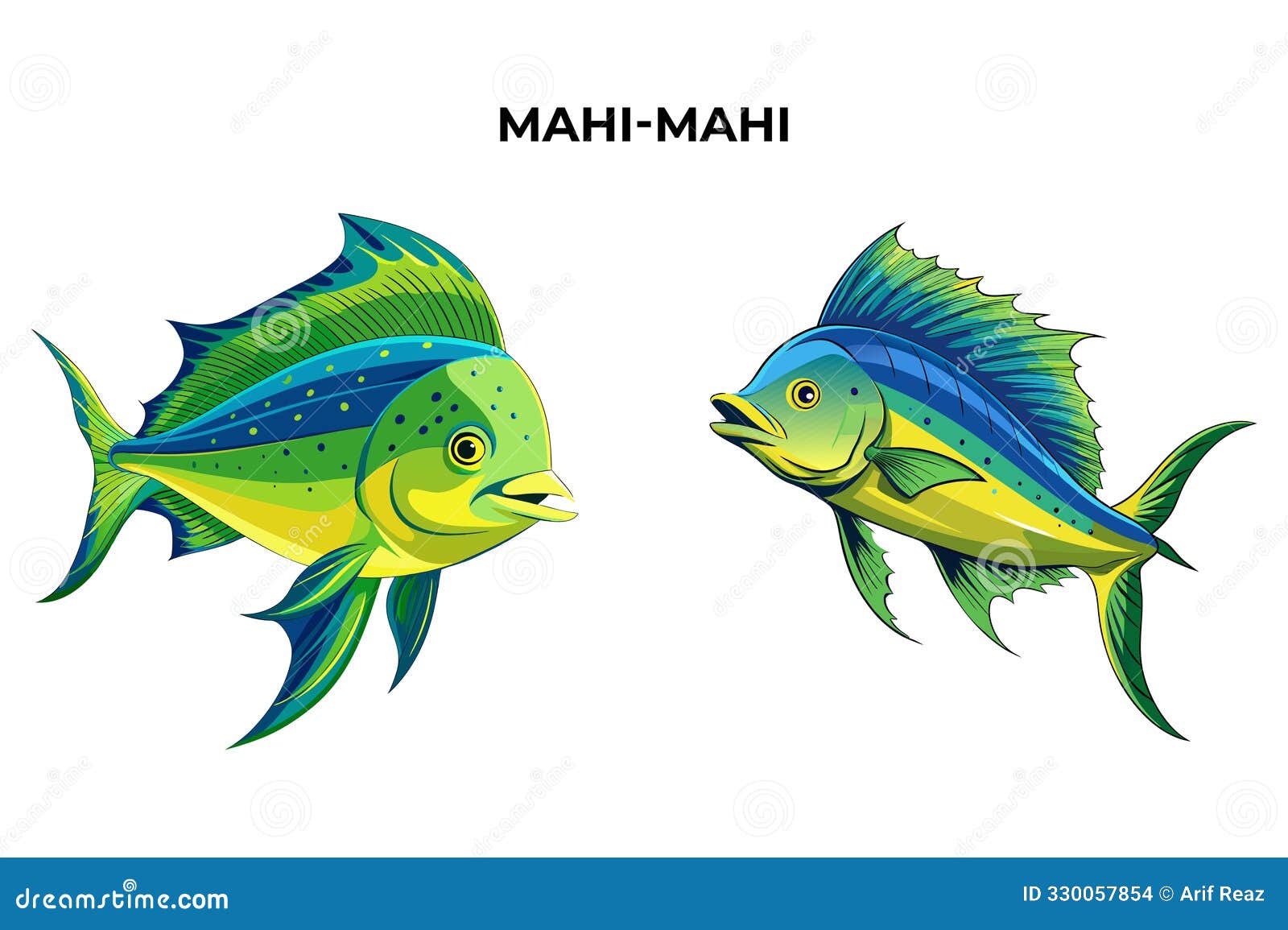 Mahi-Mahi Fish Vector Illustration: a Versatile Design Resource Stock ...
