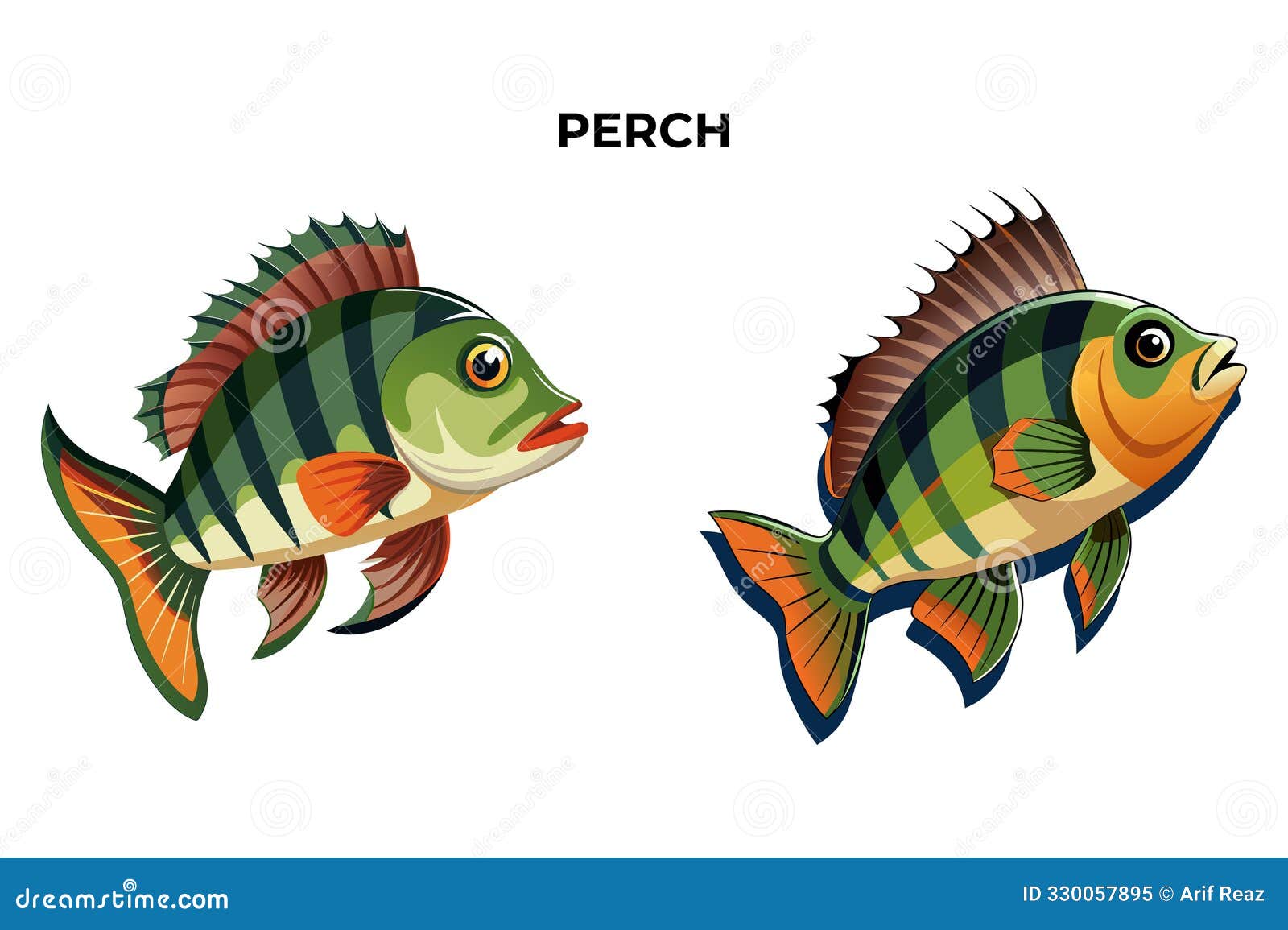 Perch Fish Vector Illustration: a Versatile Design Resource Stock ...