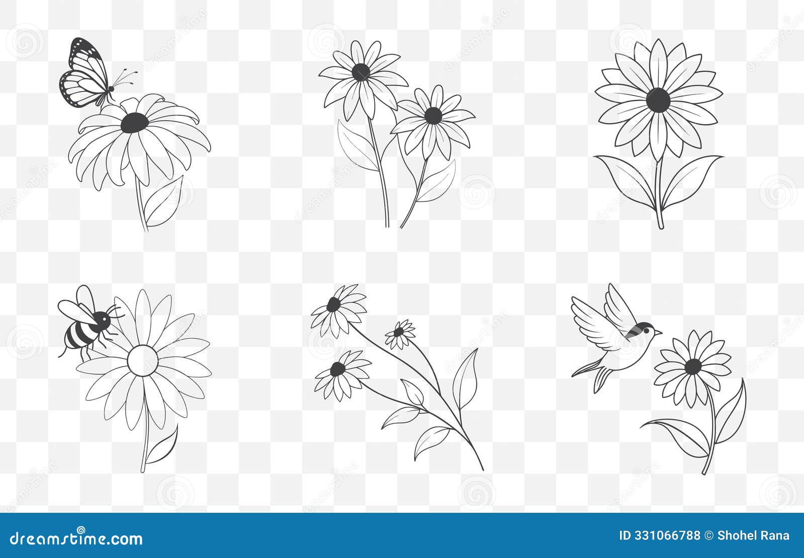 Print Black Eyed Susan Flower Line Art Vector Set Detailed Botanical ...