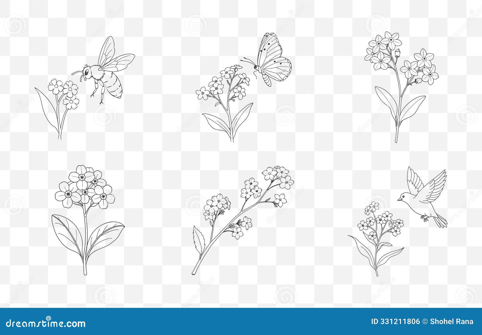 Print Forget Me Not Flower Line Art Vector Set Delicate Botanical ...