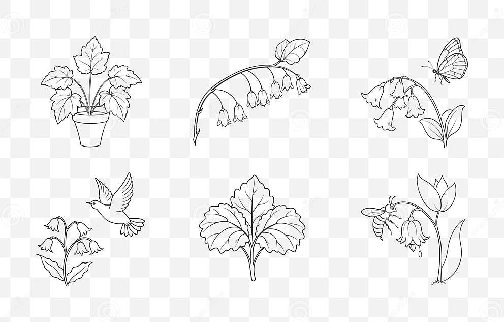 Print Coral Bells Flower Botanical Line Art Vector Collection with ...