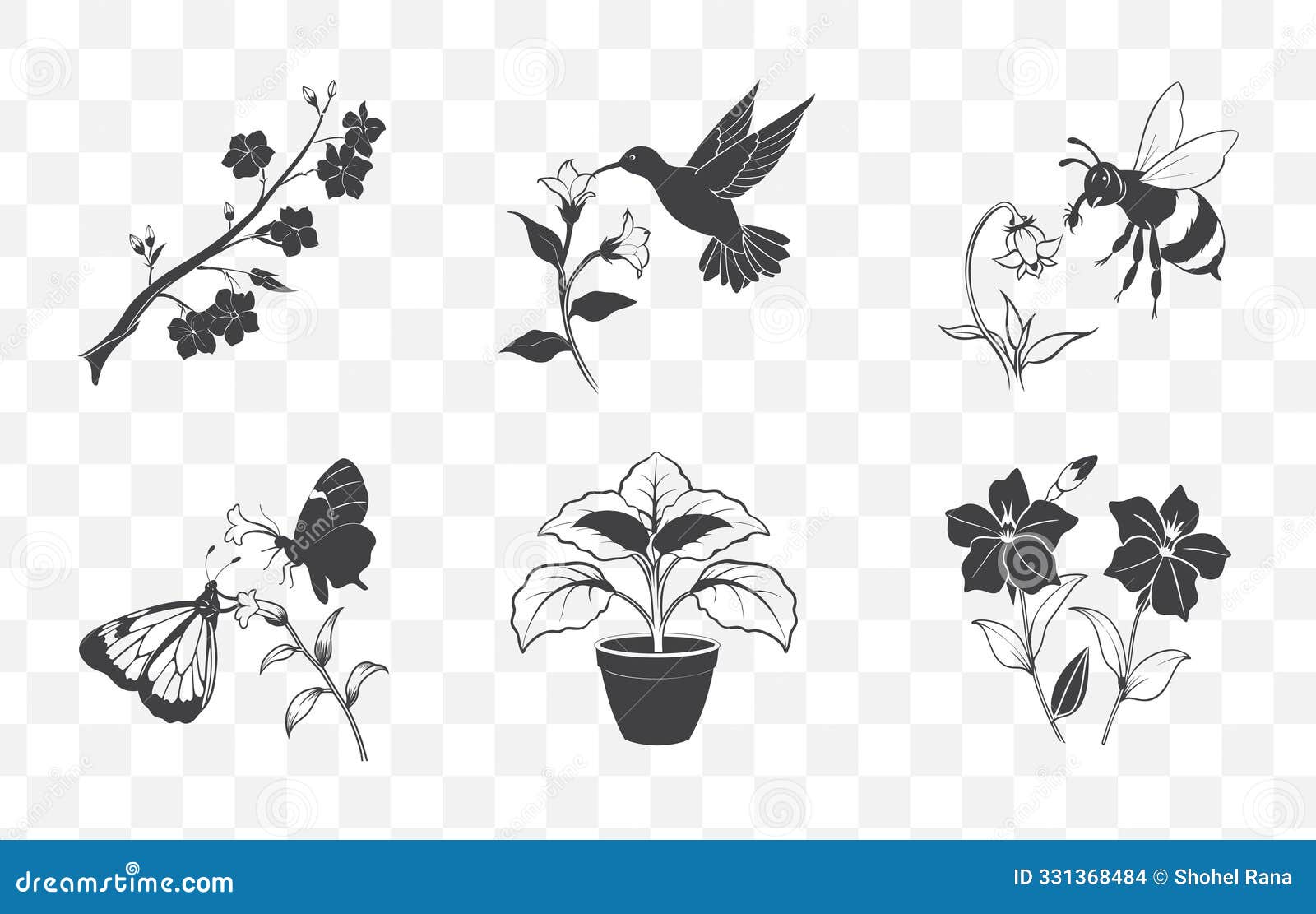 Collection Of Detailed Anatomical Brain Models And Human Figures ...