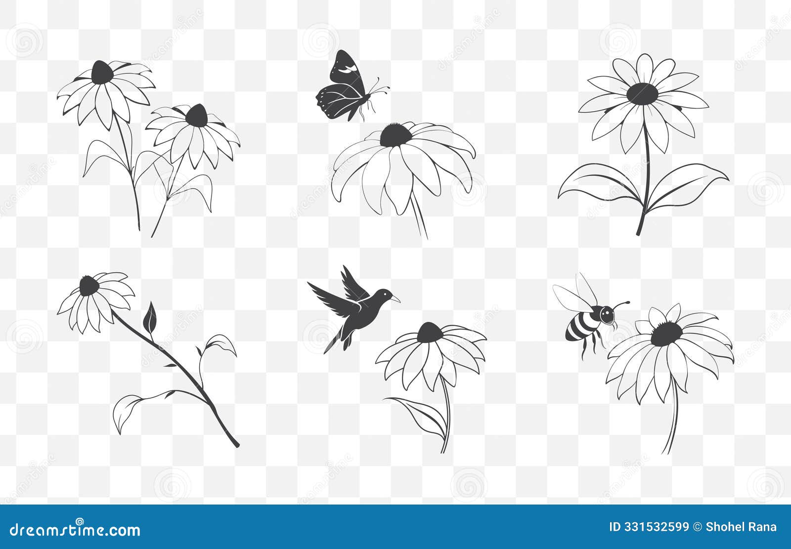 Rudbeckia Flower Line Art On Grey Cartoon Vector | CartoonDealer.com ...