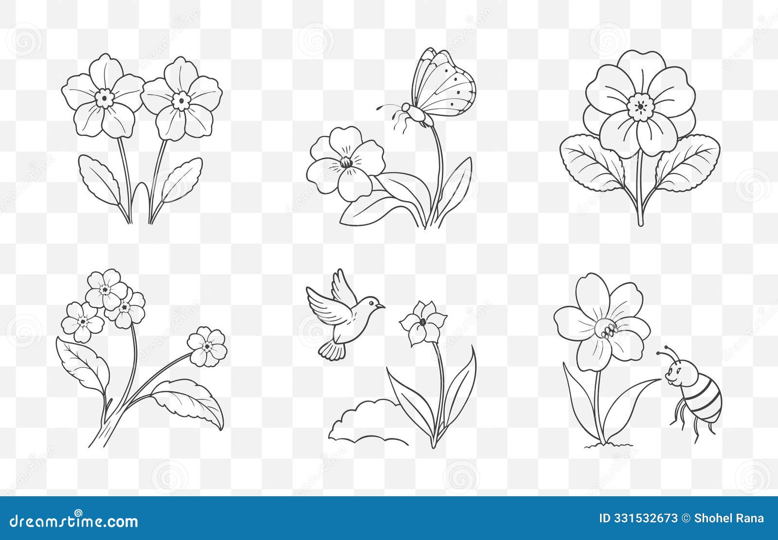 Primrose Line Drawings, Hand-painted Primula Wall Art, Oenothera Rosea ...