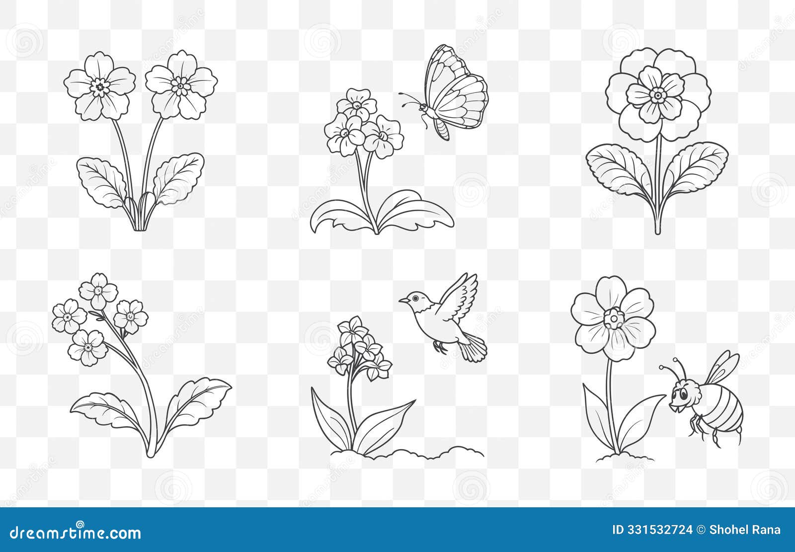 Primrose Line Drawings, Hand-painted Primula Wall Art, Oenothera Rosea ...