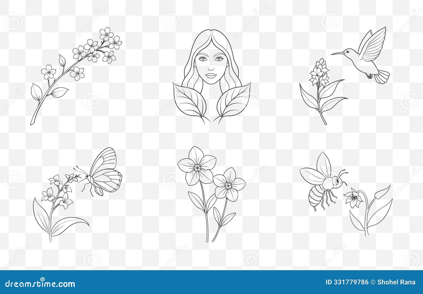 Print Veronica Flower Detailed Line Art Vector Set for Floral Design ...