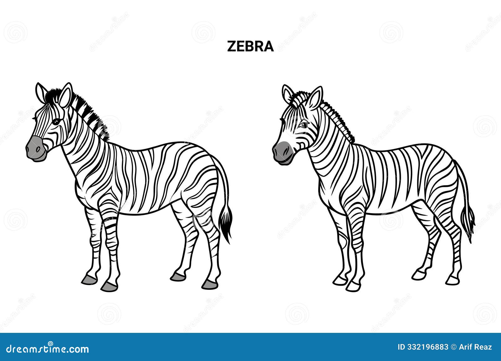 Versatile Vector Zebra: Editable Outline Perfect for Any Project Stock ...
