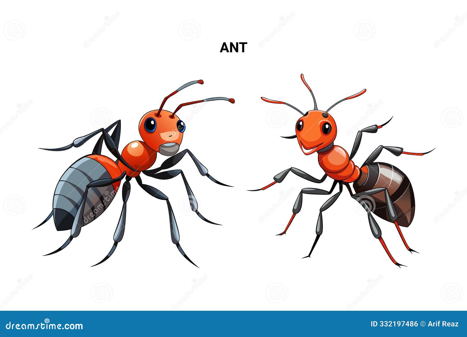 Versatile Vector Ant: Perfect Outline for Any Project Stock Photo ...