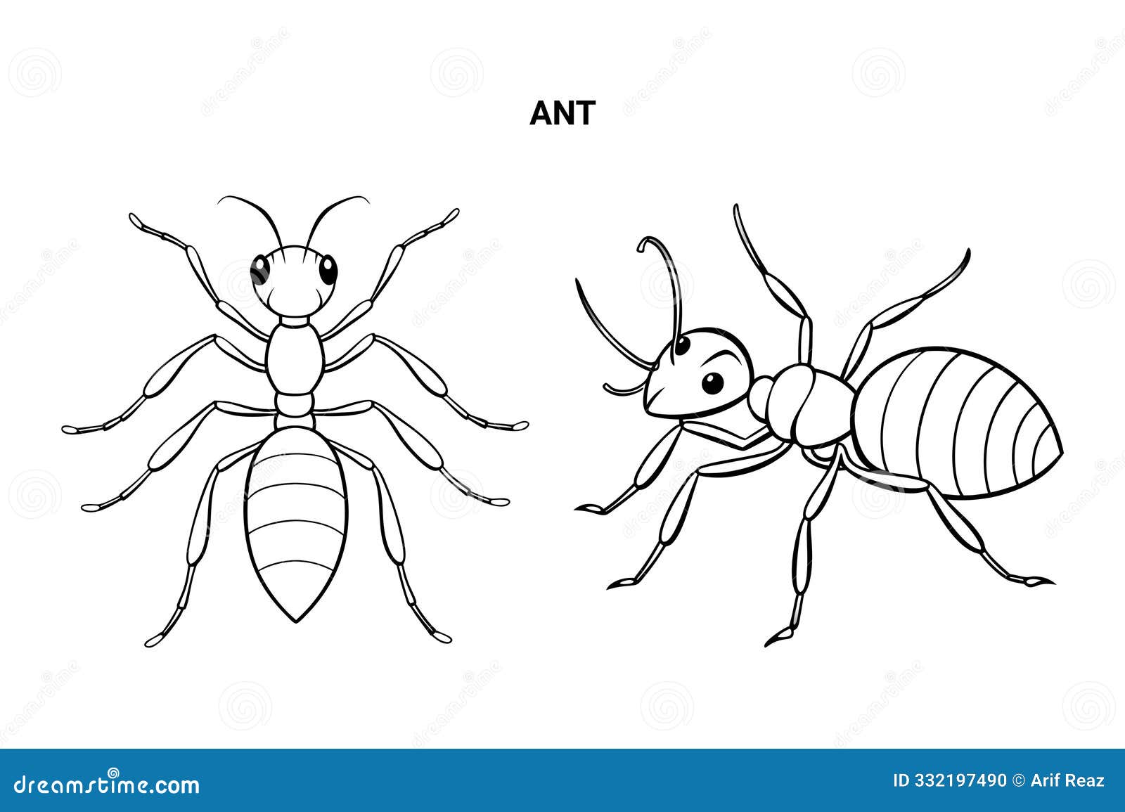 Versatile Vector Ant: Perfect Outline for Any Project Stock Photo ...
