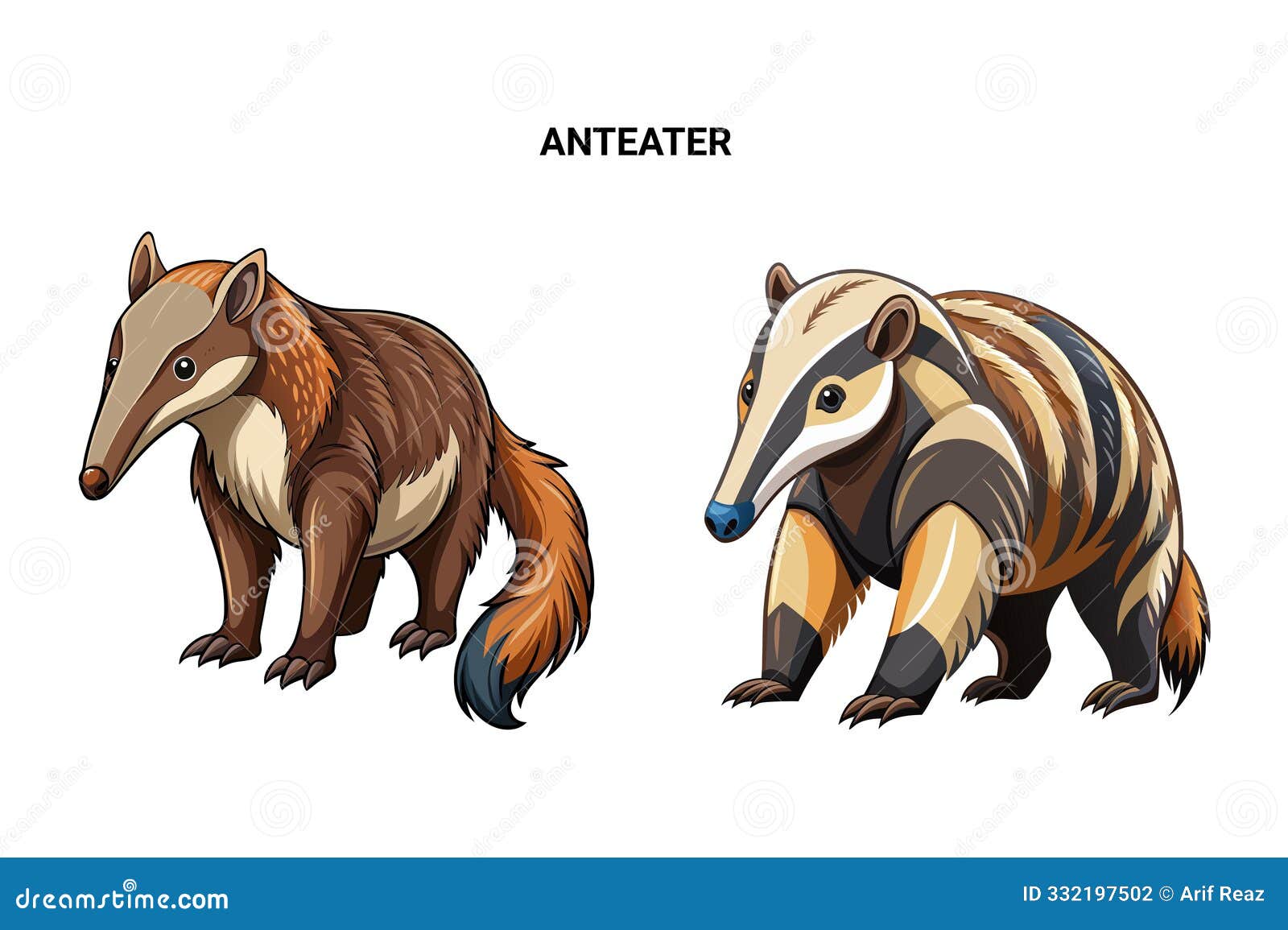Versatile Vector Anteater: Perfect Color for Any Project Stock Photo ...