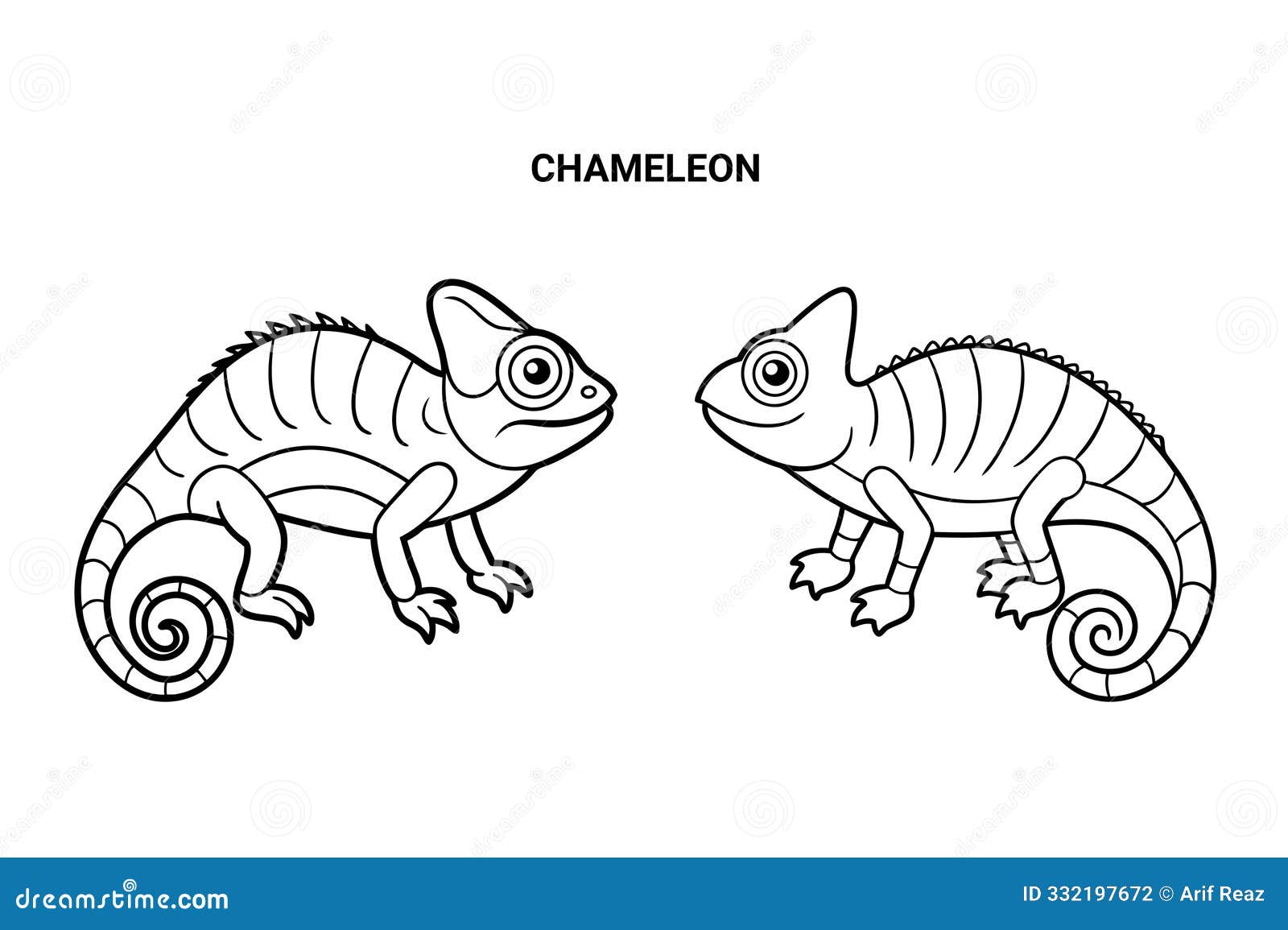 Versatile Vector Chameleon: Perfect Outline for Any Project Stock Photo ...