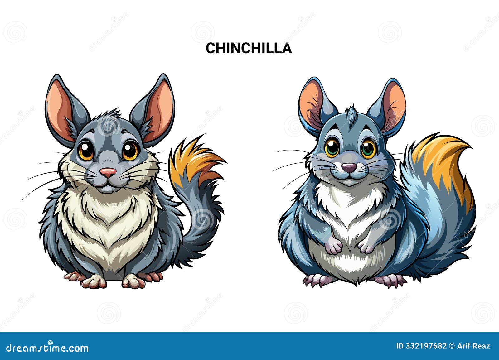 Versatile Vector Chinchilla: Perfect Color for Any Project Stock Photo ...