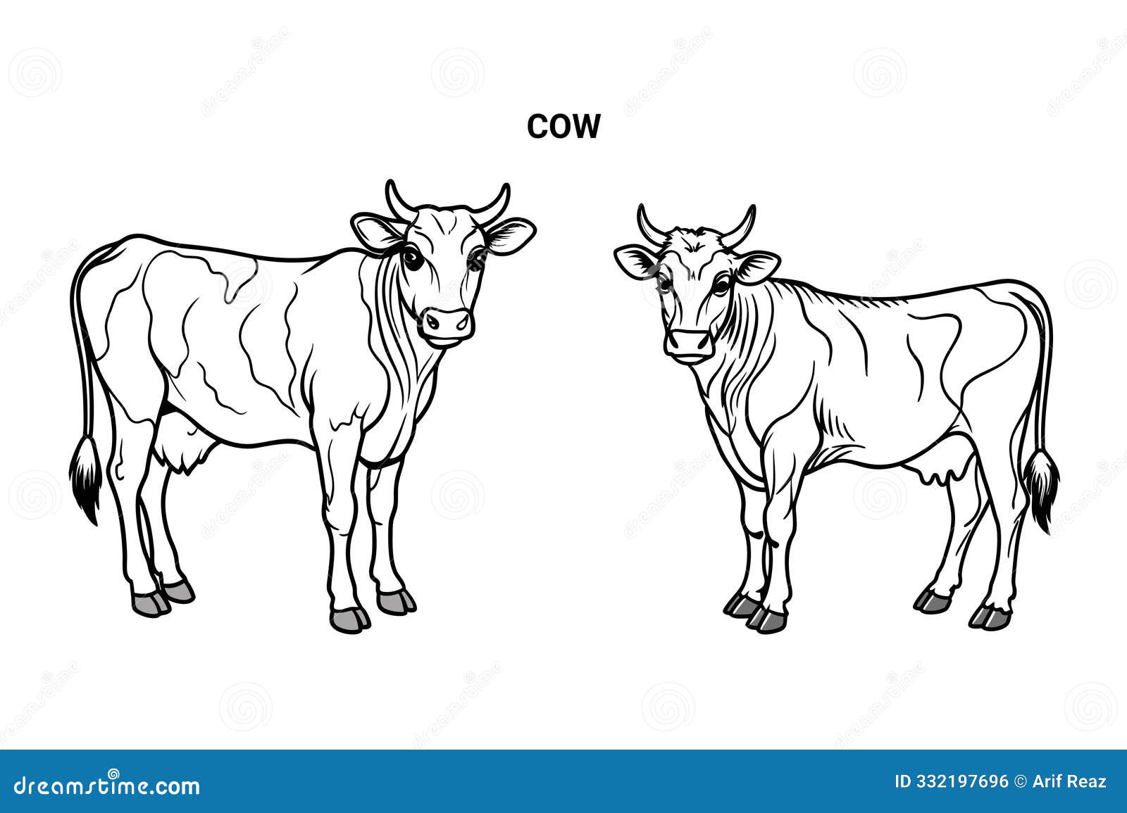 Versatile Vector Cow: Perfect Outline for Any Project Stock Photo ...