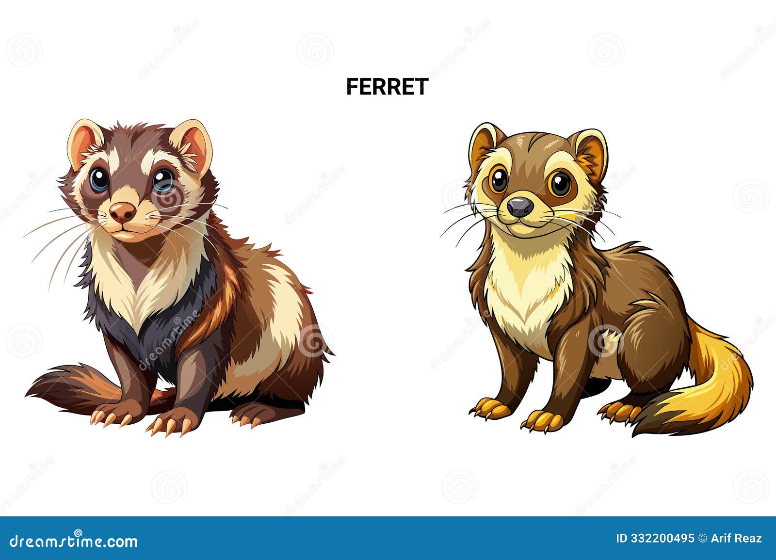 Versatile Vector Ferret : Perfect Color for Any Project Stock Vector ...
