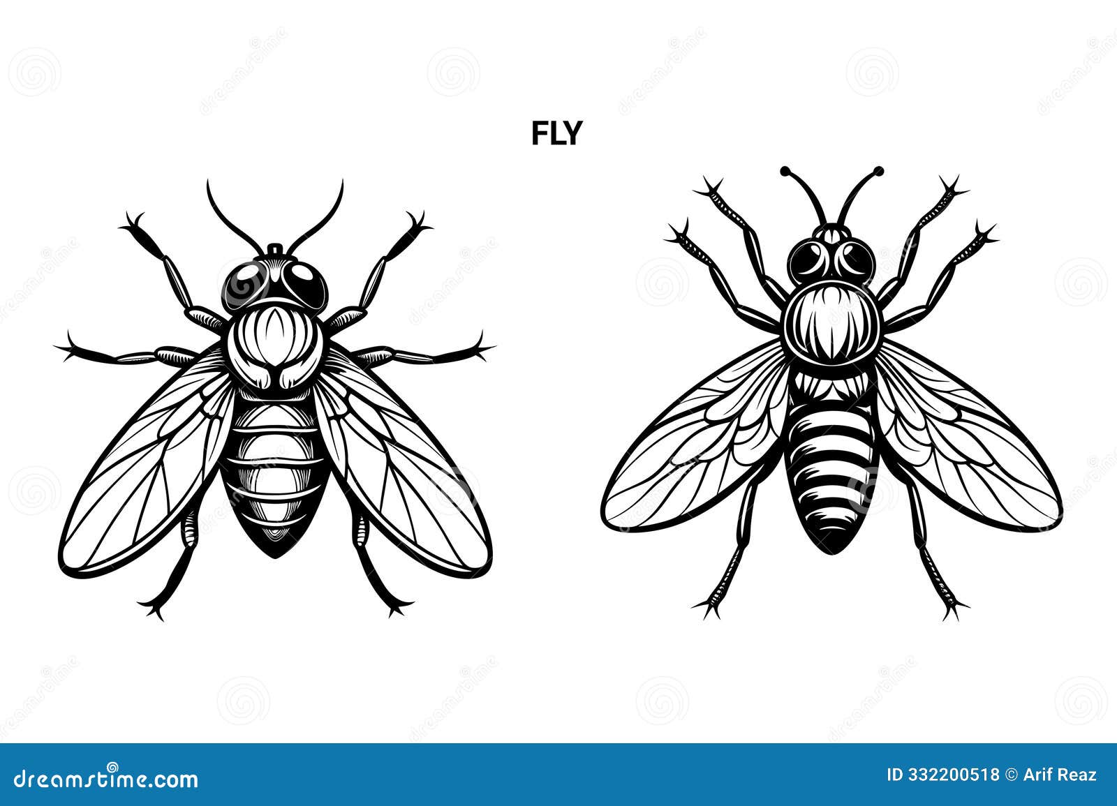 Versatile Vector Fly: Perfect Silhouette for Any Project Stock Vector ...