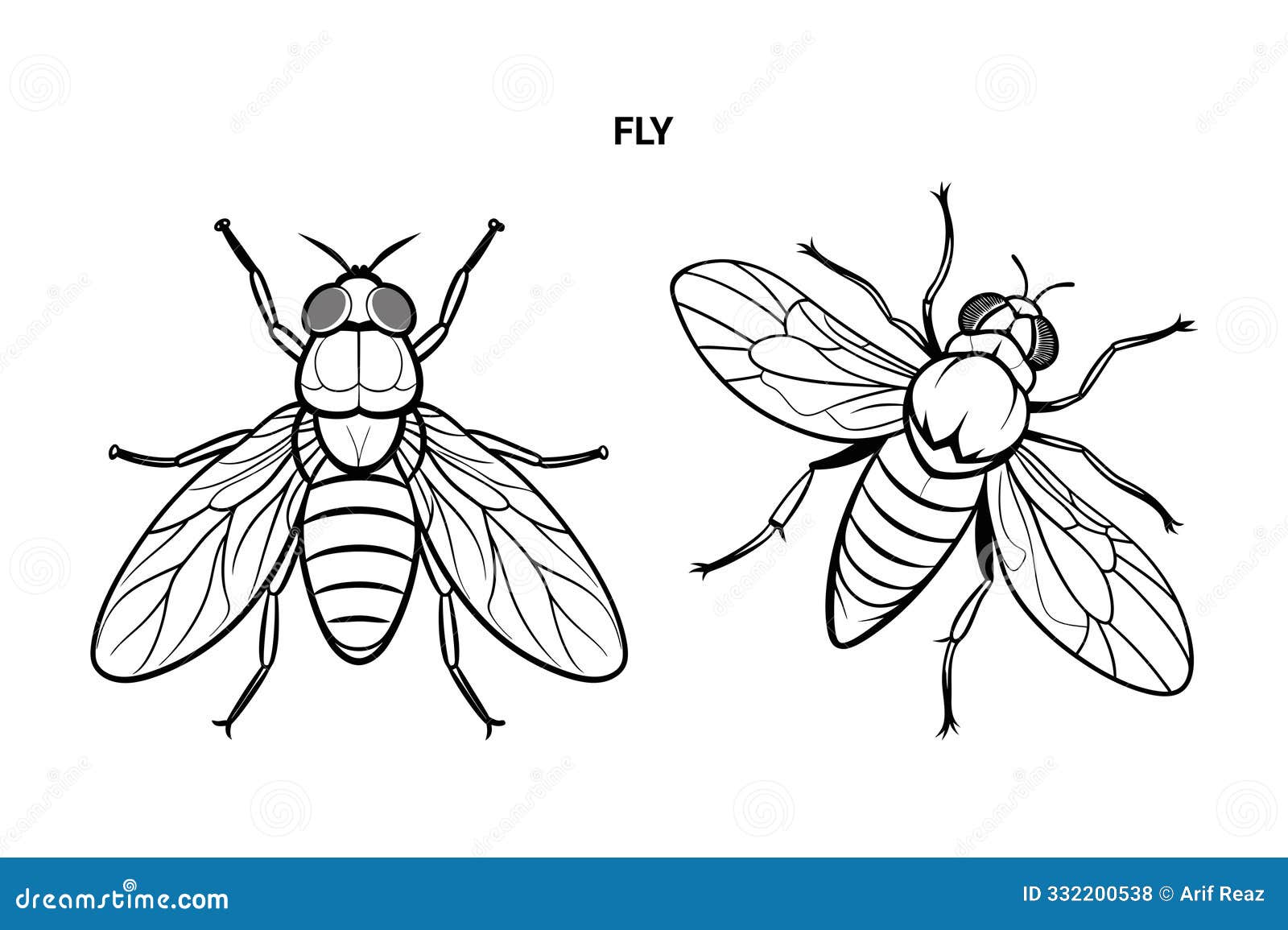 Versatile Vector Fly: Perfect Outline for Any Project Stock Vector ...